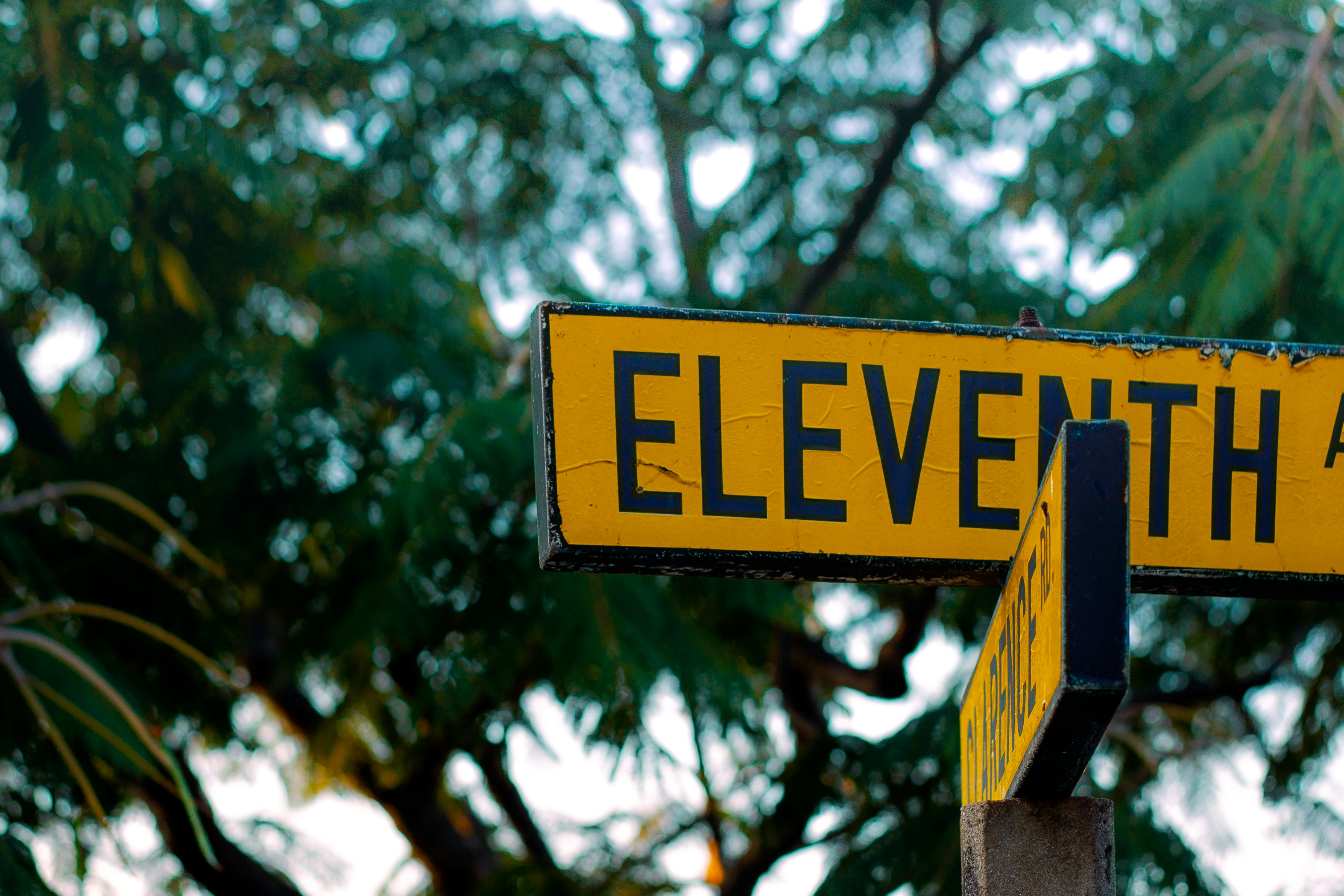 A close up of a street sign with trees in the background photo – Free ...