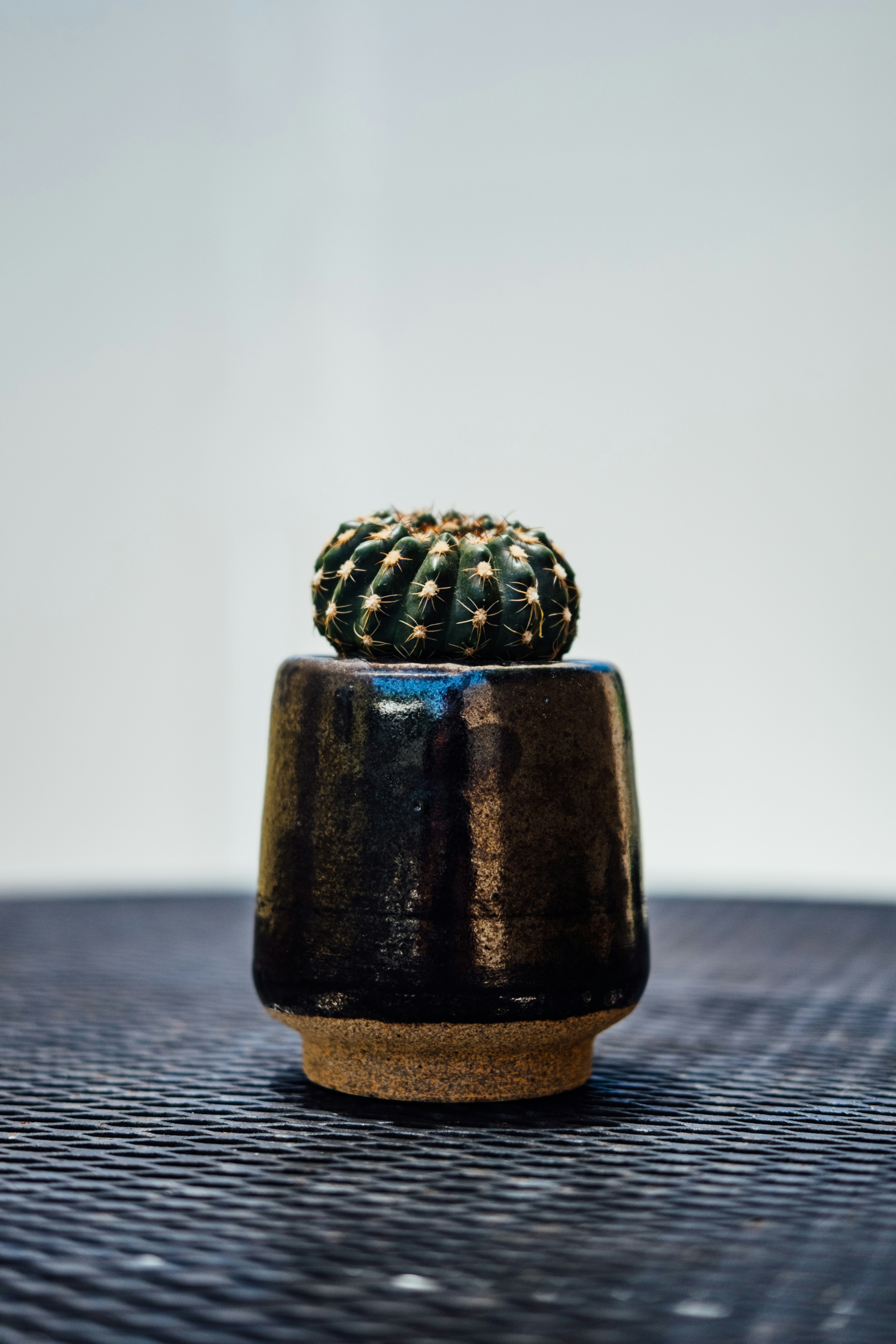 Tiny Desert Crown on a Glazed Vessel