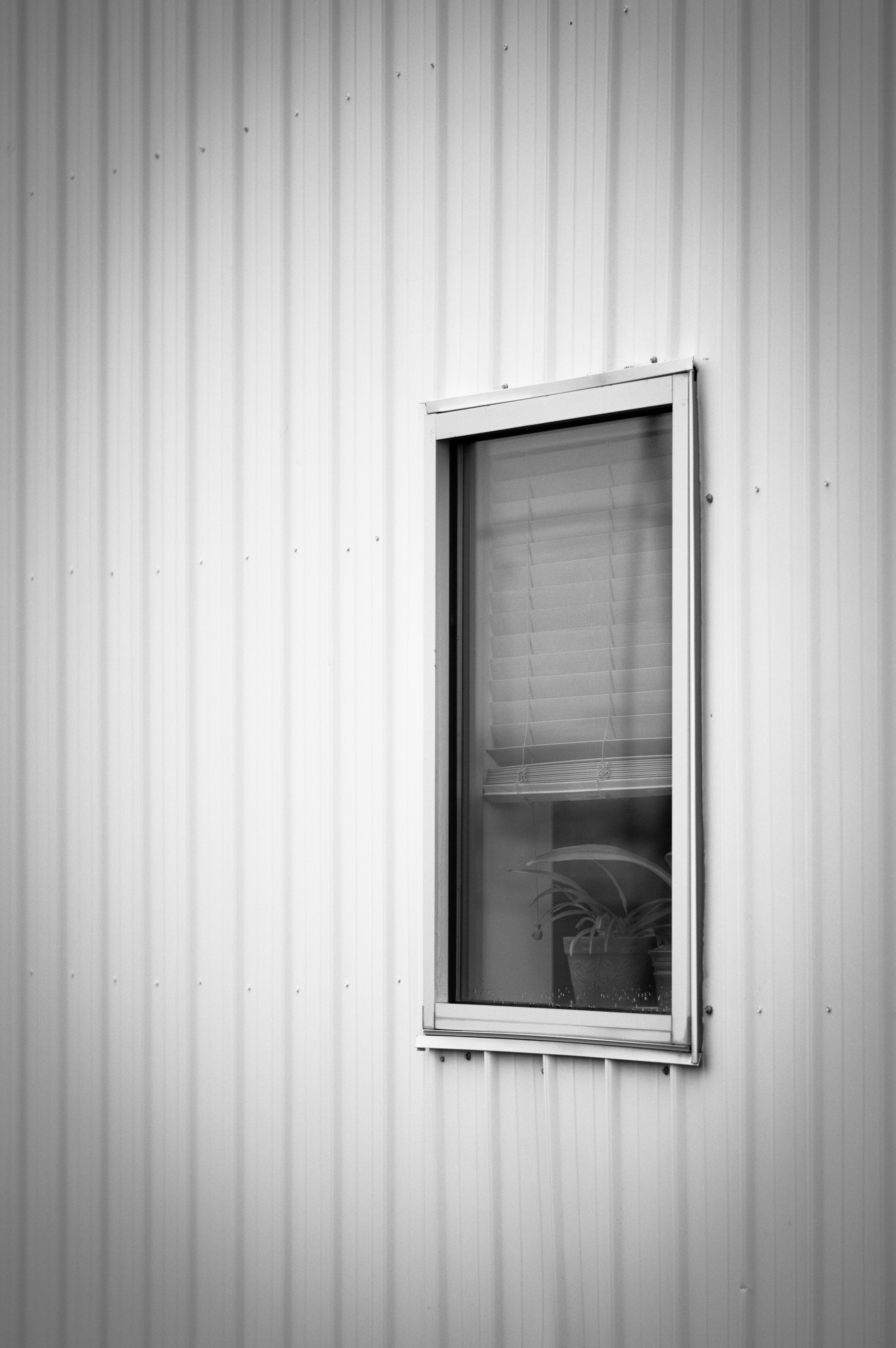 Cadre de fenêtre en bois blanc avec stores blancs photo – Photo Blanche ...