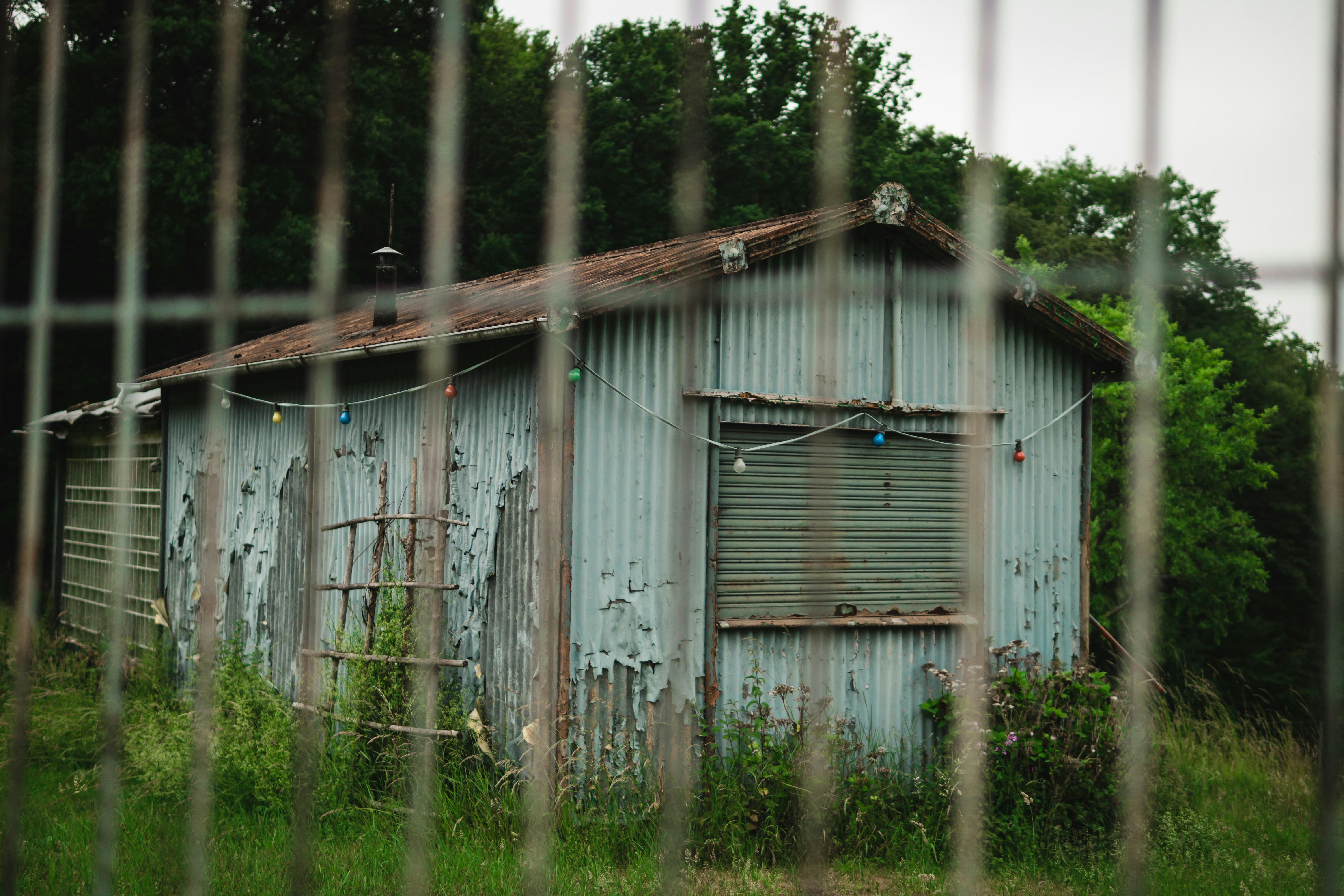 Peeling Blue Behind Chains: A Quiet Shed in Weathered Light