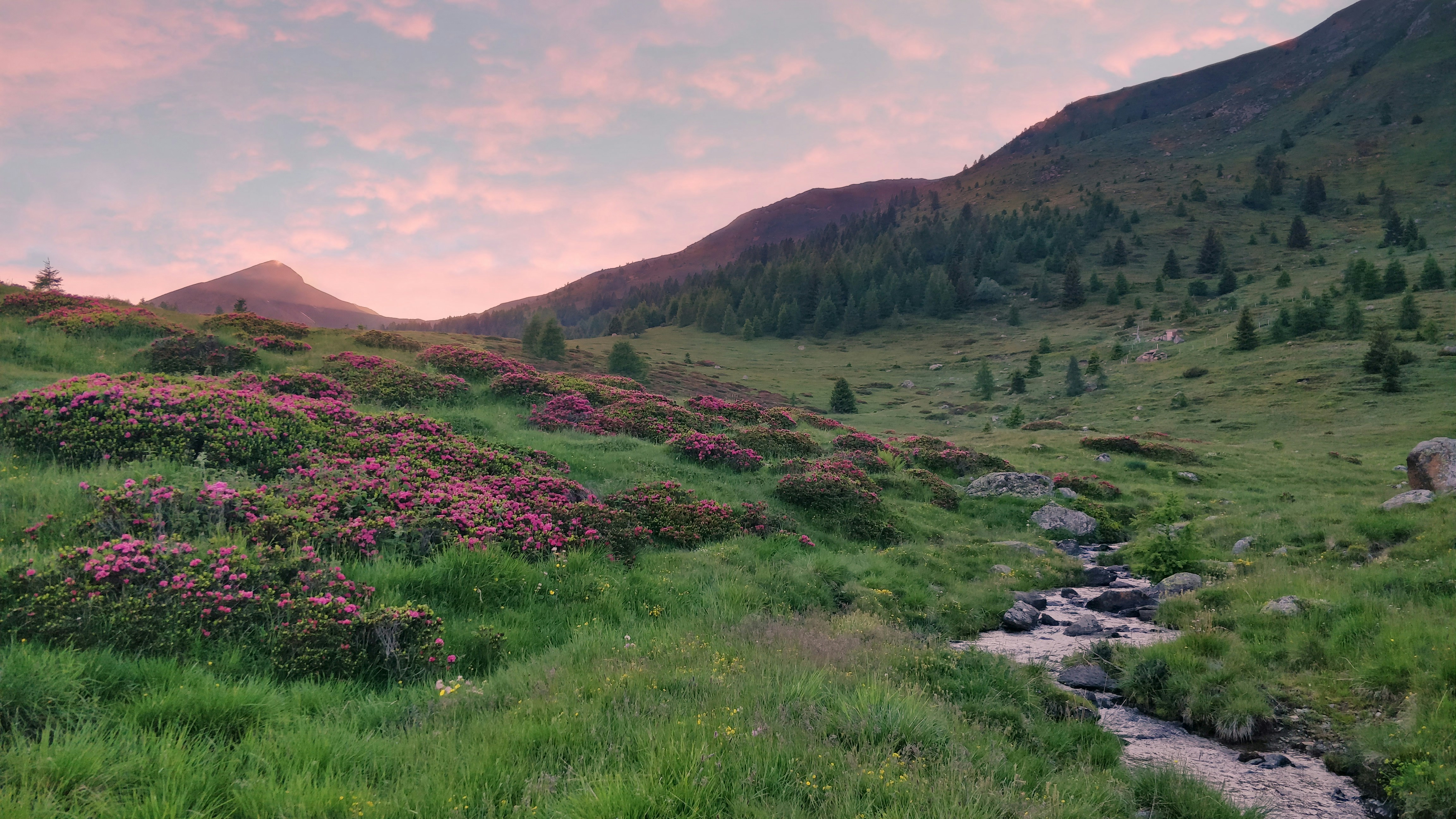 Green grass field near mountain during daytime photo – Free Roncegno ...