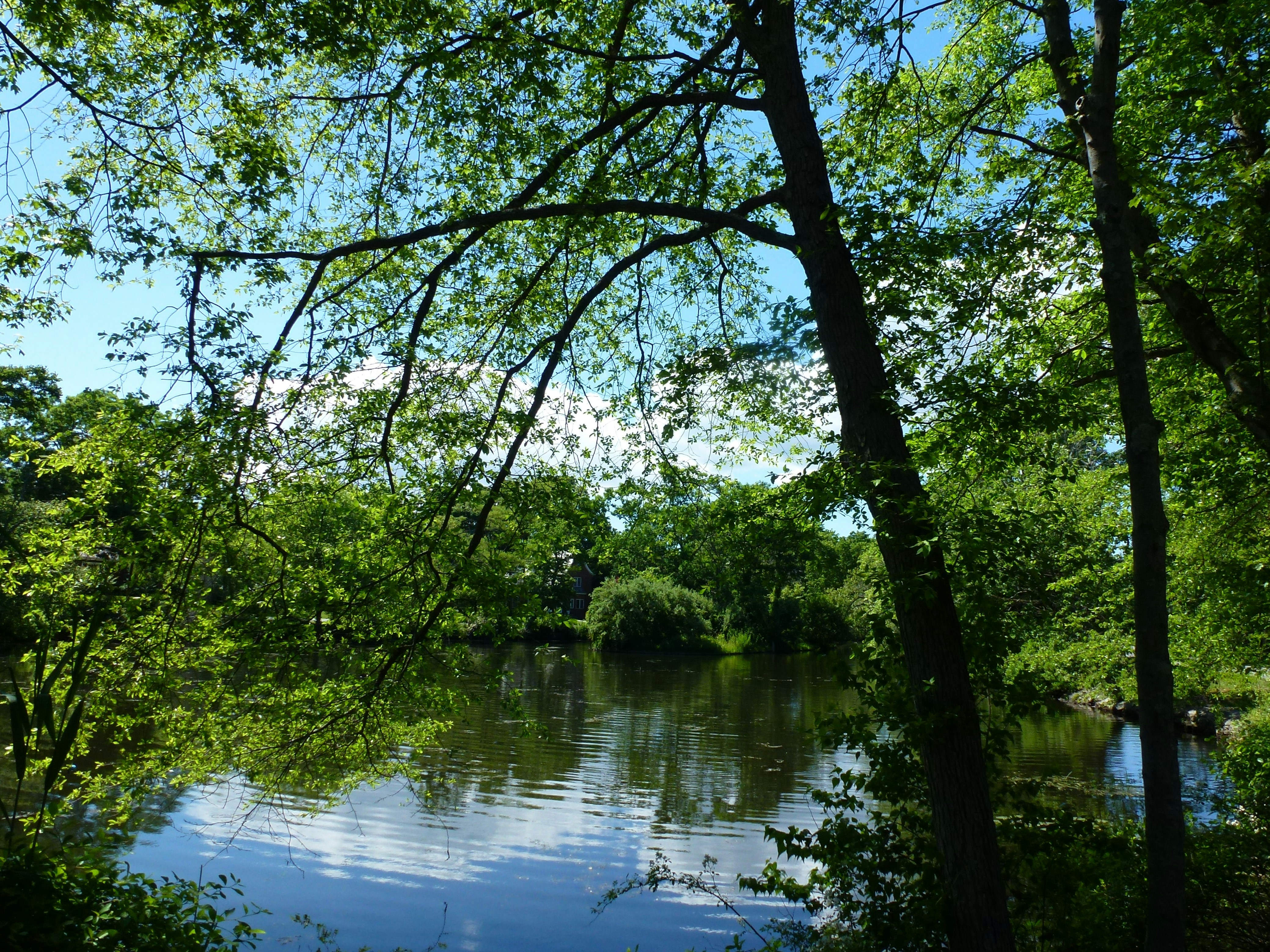 Best June Pictures [HD] | Download Free Images on Unsplash