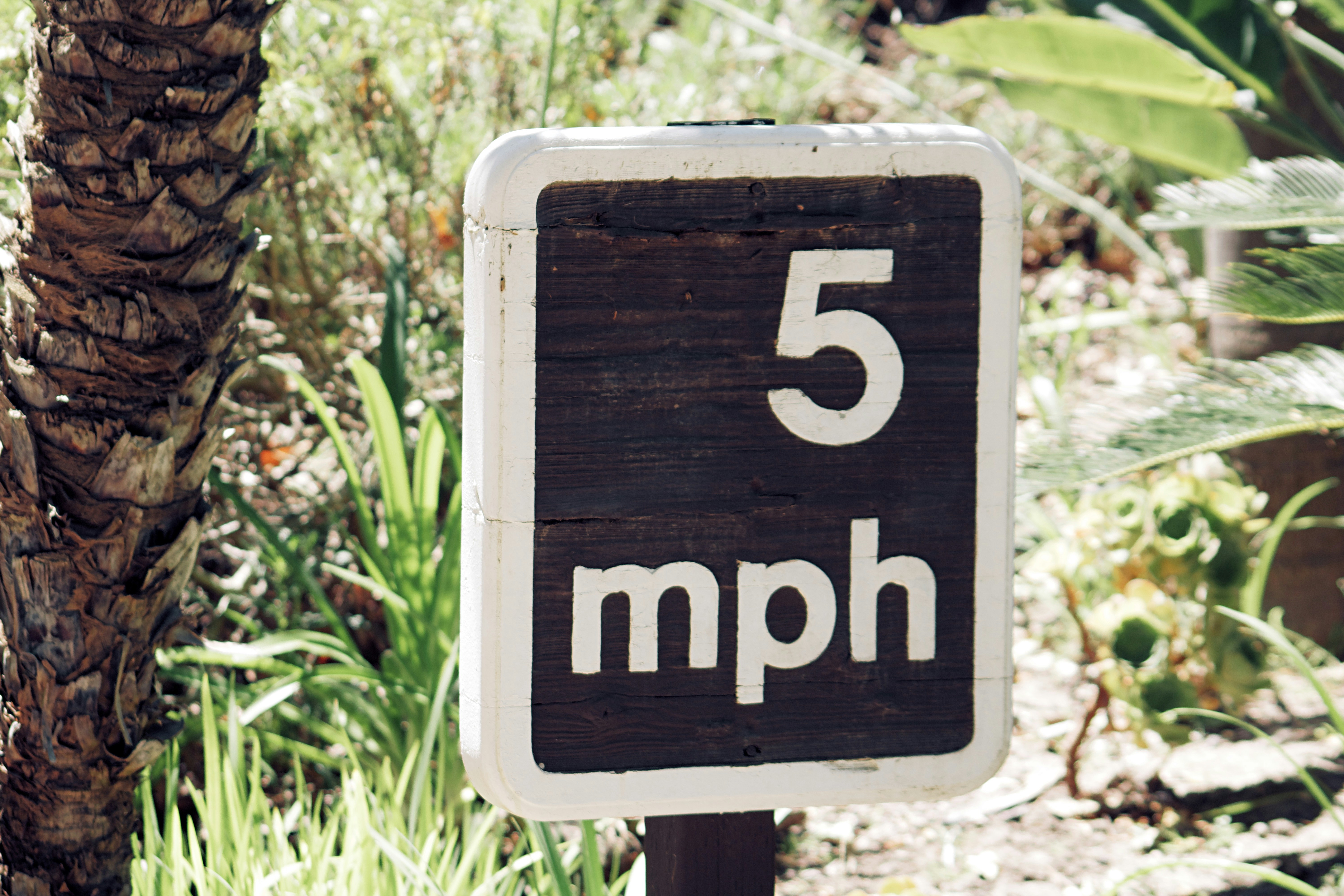 Black and white 10 signage photo – Free Usa Image on Unsplash