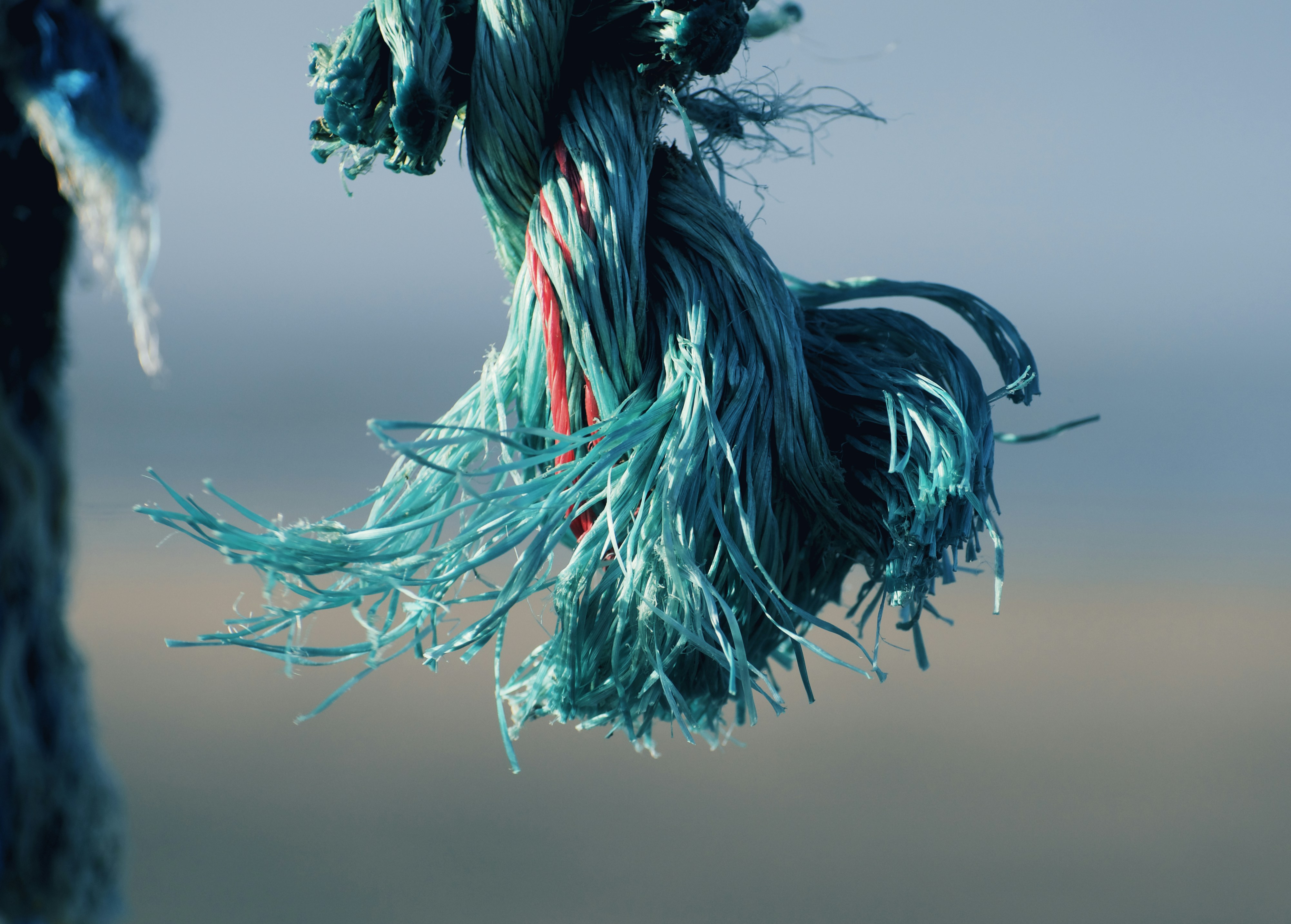 Close-up of frayed blue rope strands swaying gently against a blurred background, highlighting texture and color contrast.