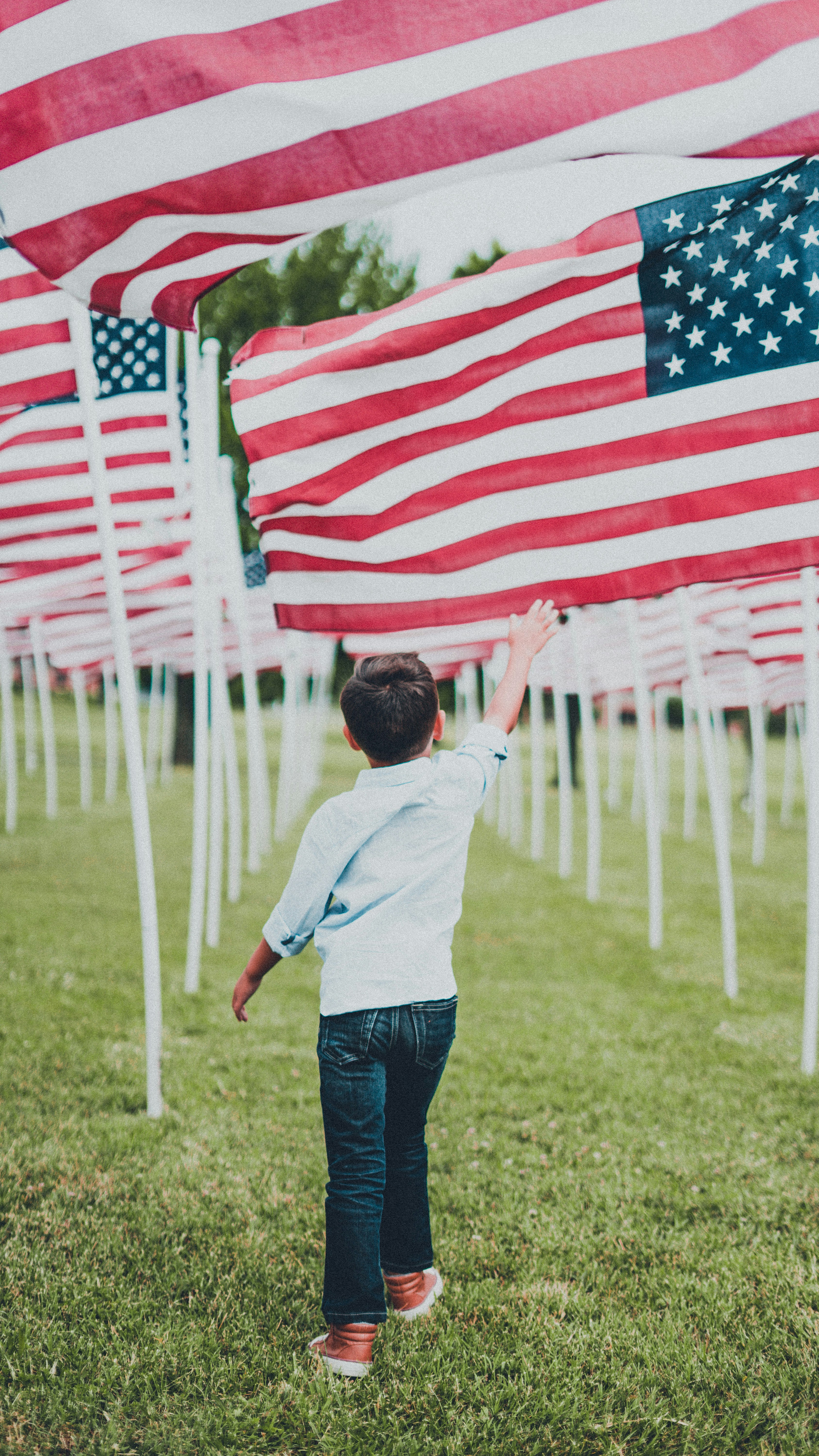 Child reaching out towards waving American flags in a grassy field, embodying a spirit of curiosity and patriotism.
