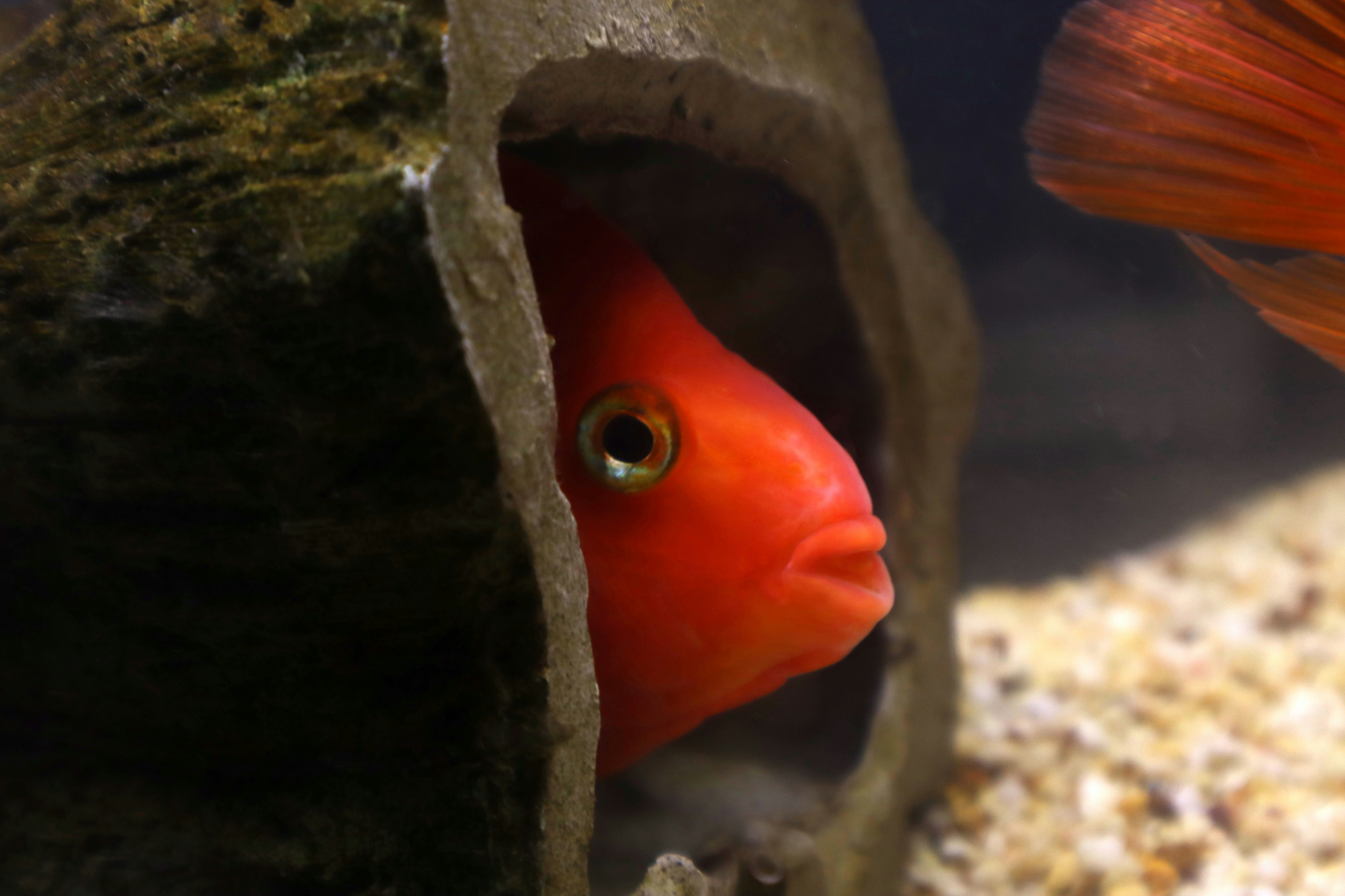 azees math (@azees_math) | Communauté photos Unsplash