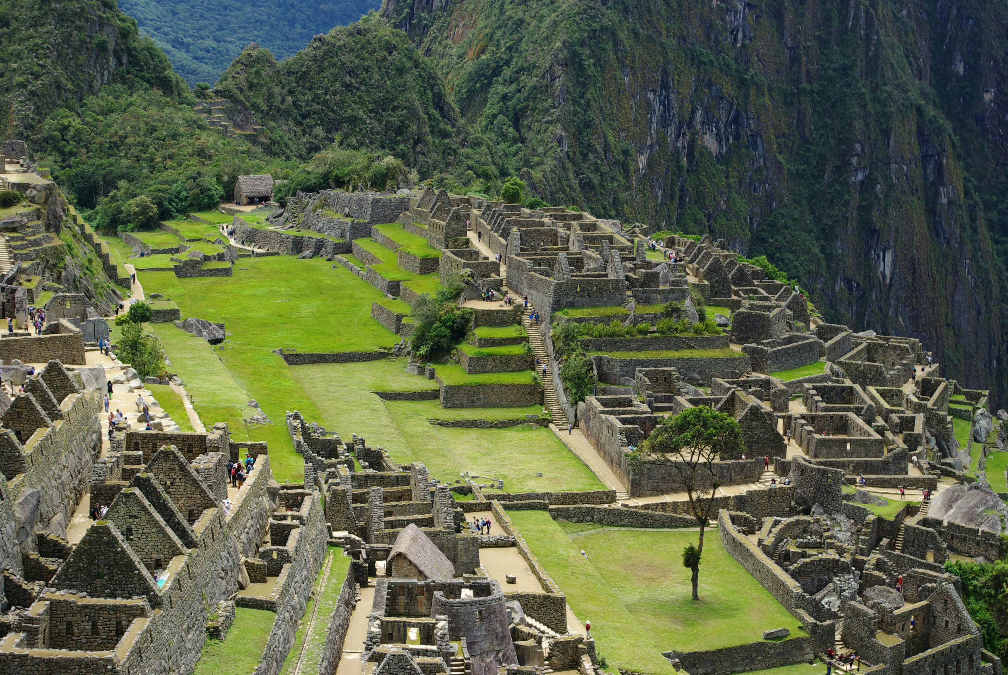 Machu Picchu's terraced stone structures nestled amid lush green mountains.