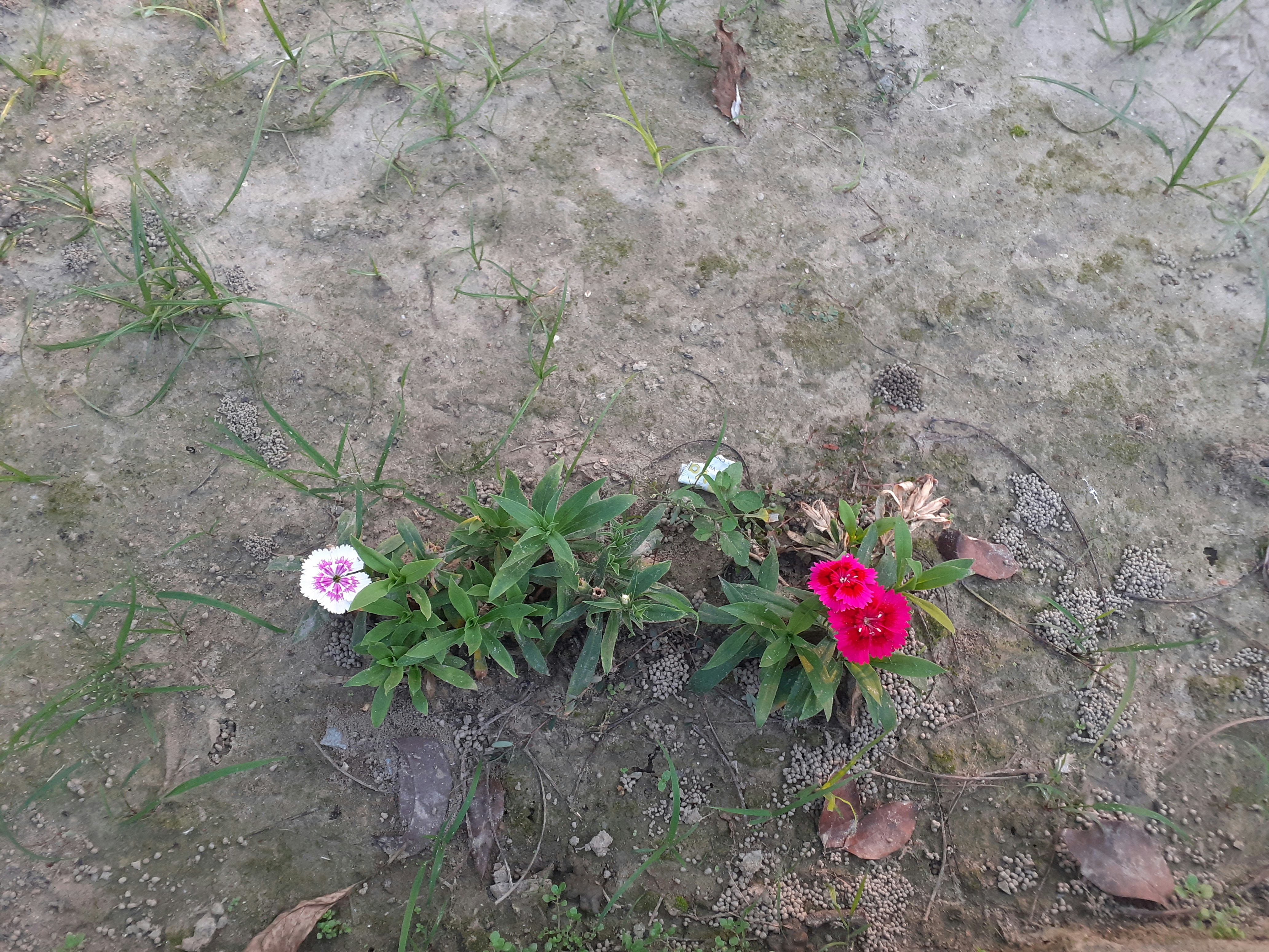 Md. Hasan Riad (@hasanriad) | Komunitas Foto Unsplash