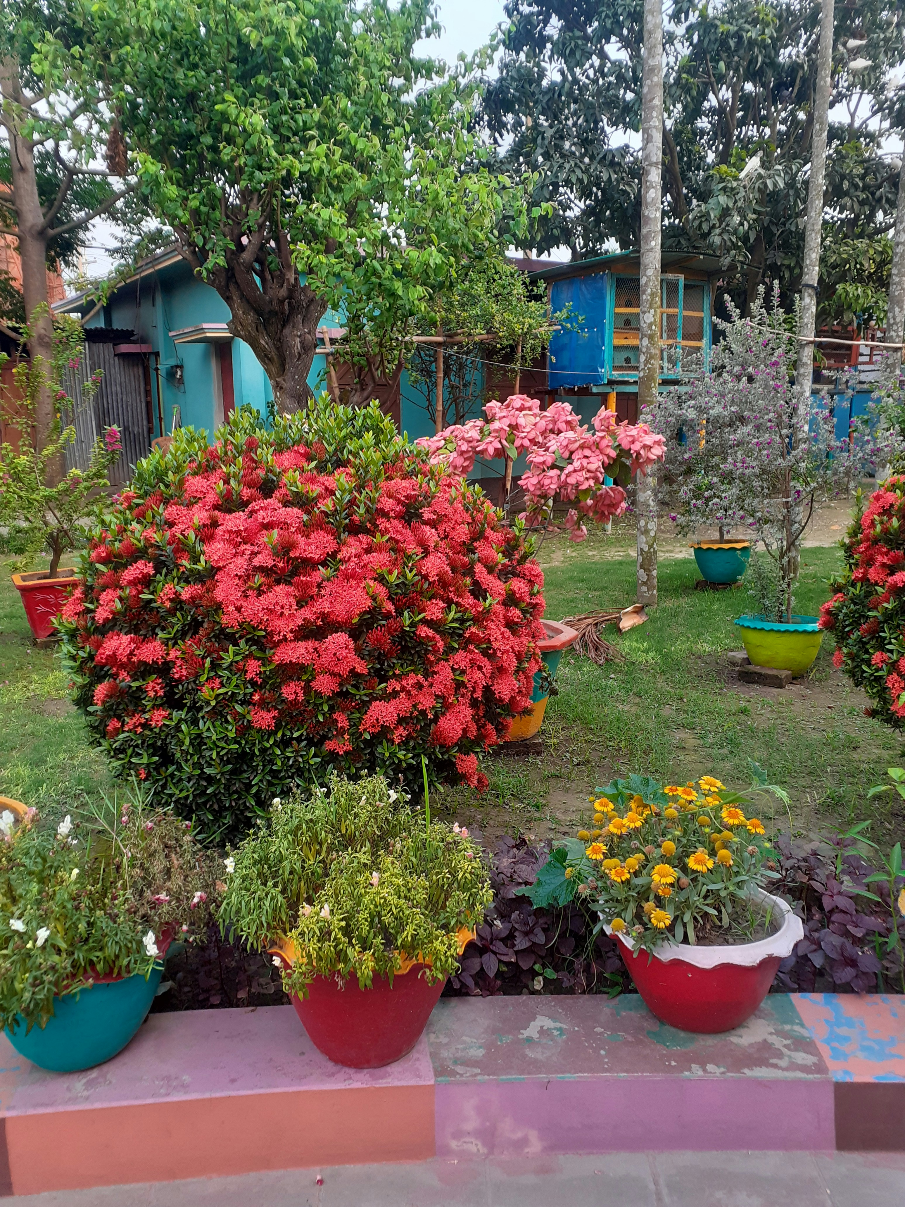 Md. Hasan Riad (@hasanriad) | Komunitas Foto Unsplash