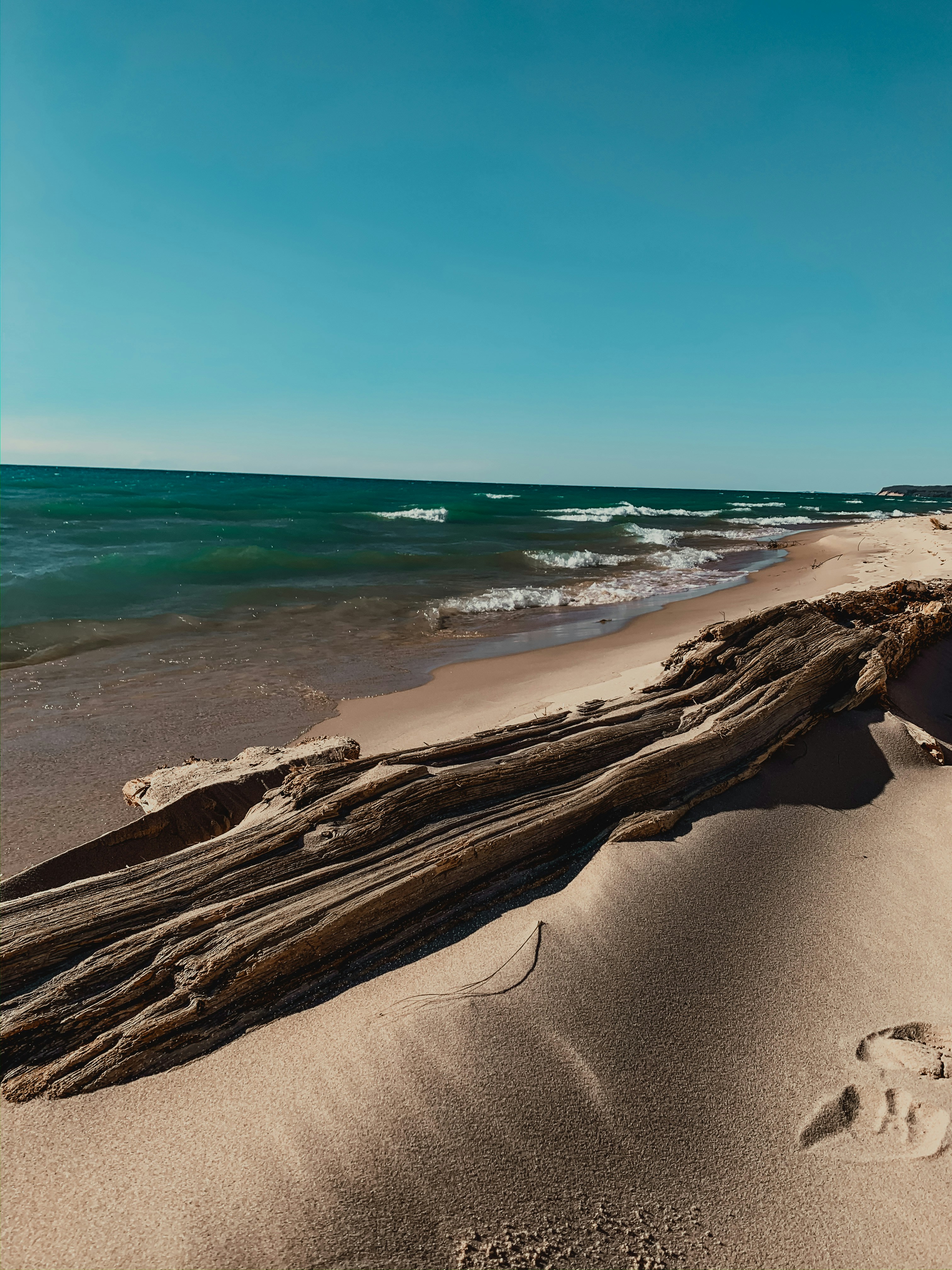brown sand beach during daytime