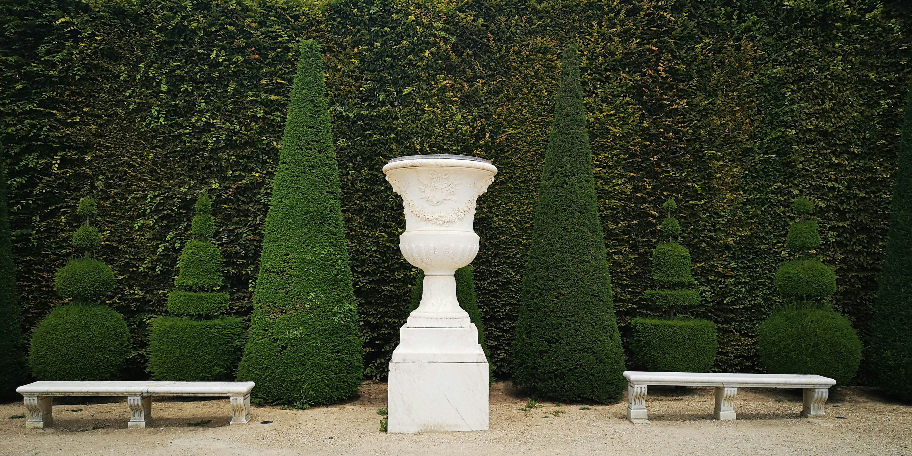 Symmetry in the Verdant Sanctuary