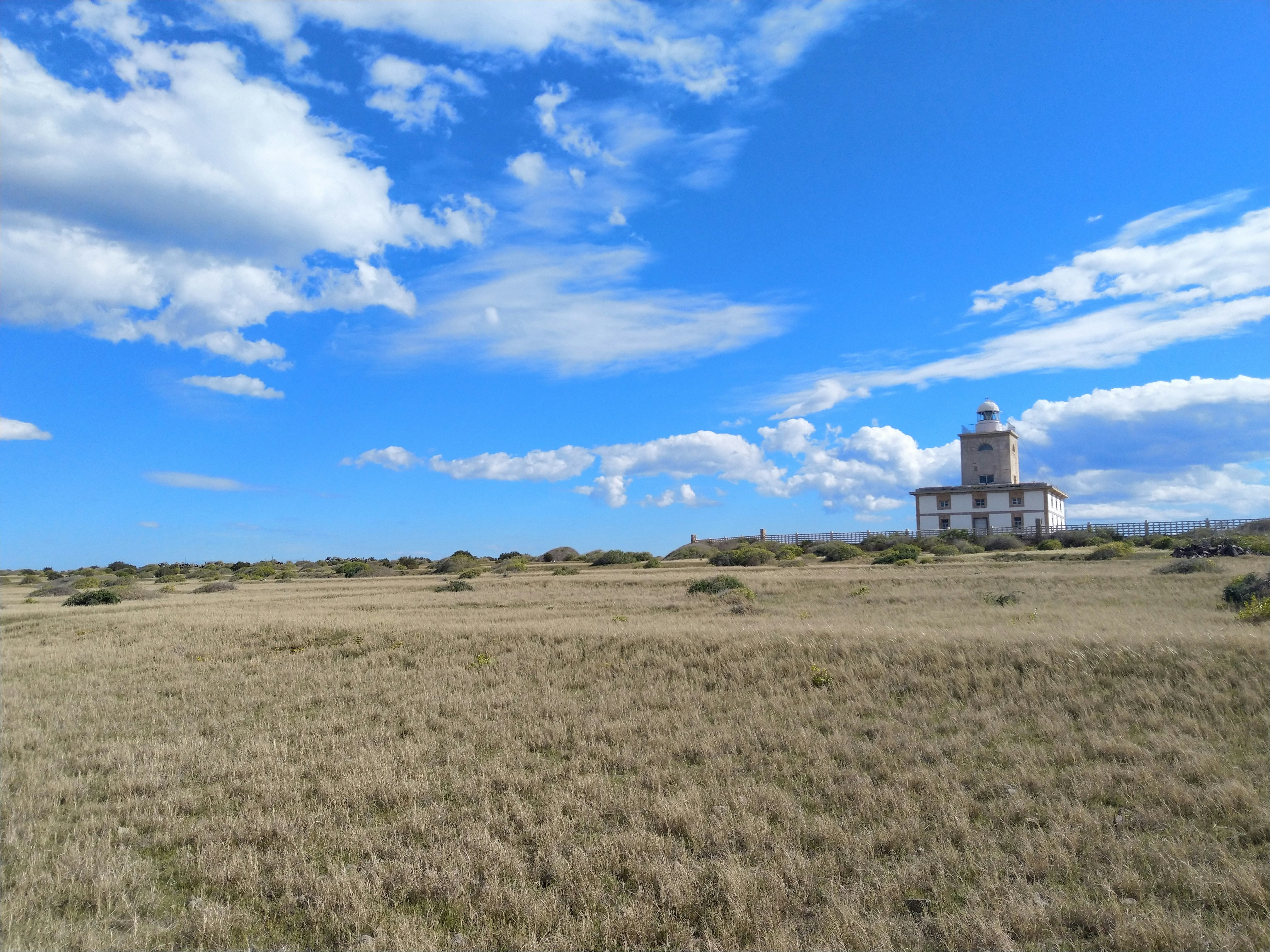 A lighthouse stands prominently against a backdrop of expansive grassland and a vibrant blue sky, capturing the essence of isolation and tranquility.