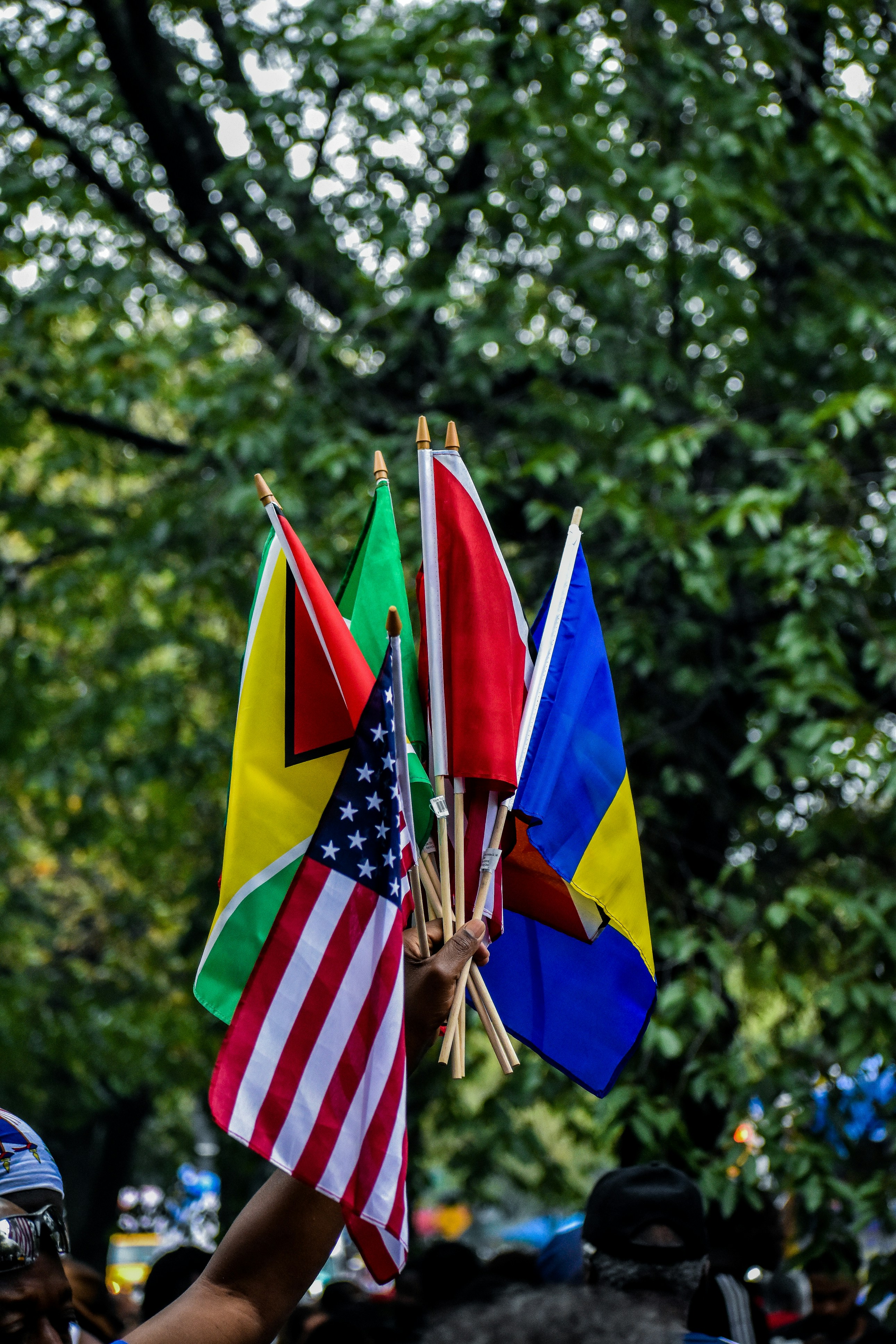 Hands of Flags: A Rally of Colors and Unity