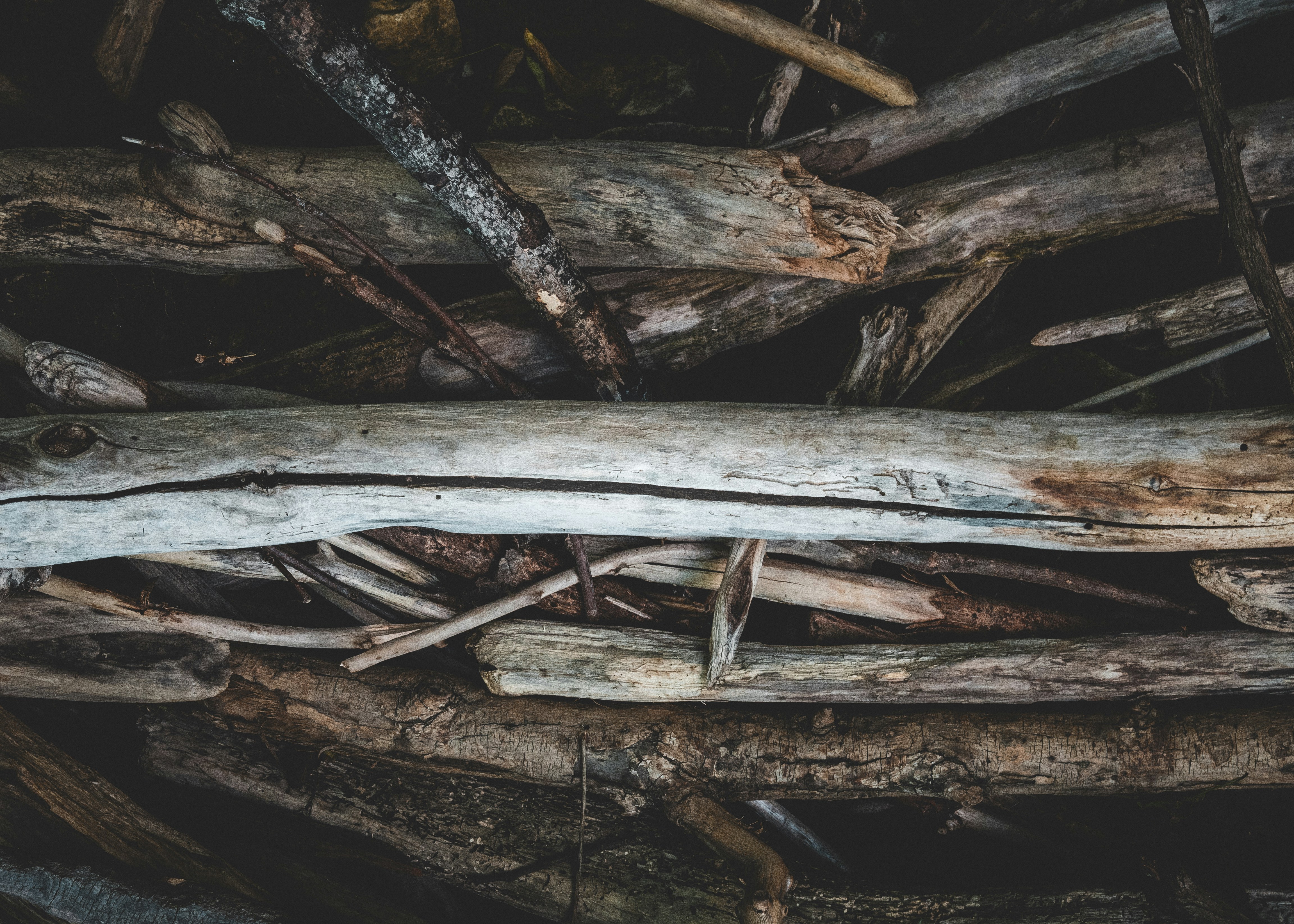 Silvery Ribbon Through a Stack of Weathered Logs