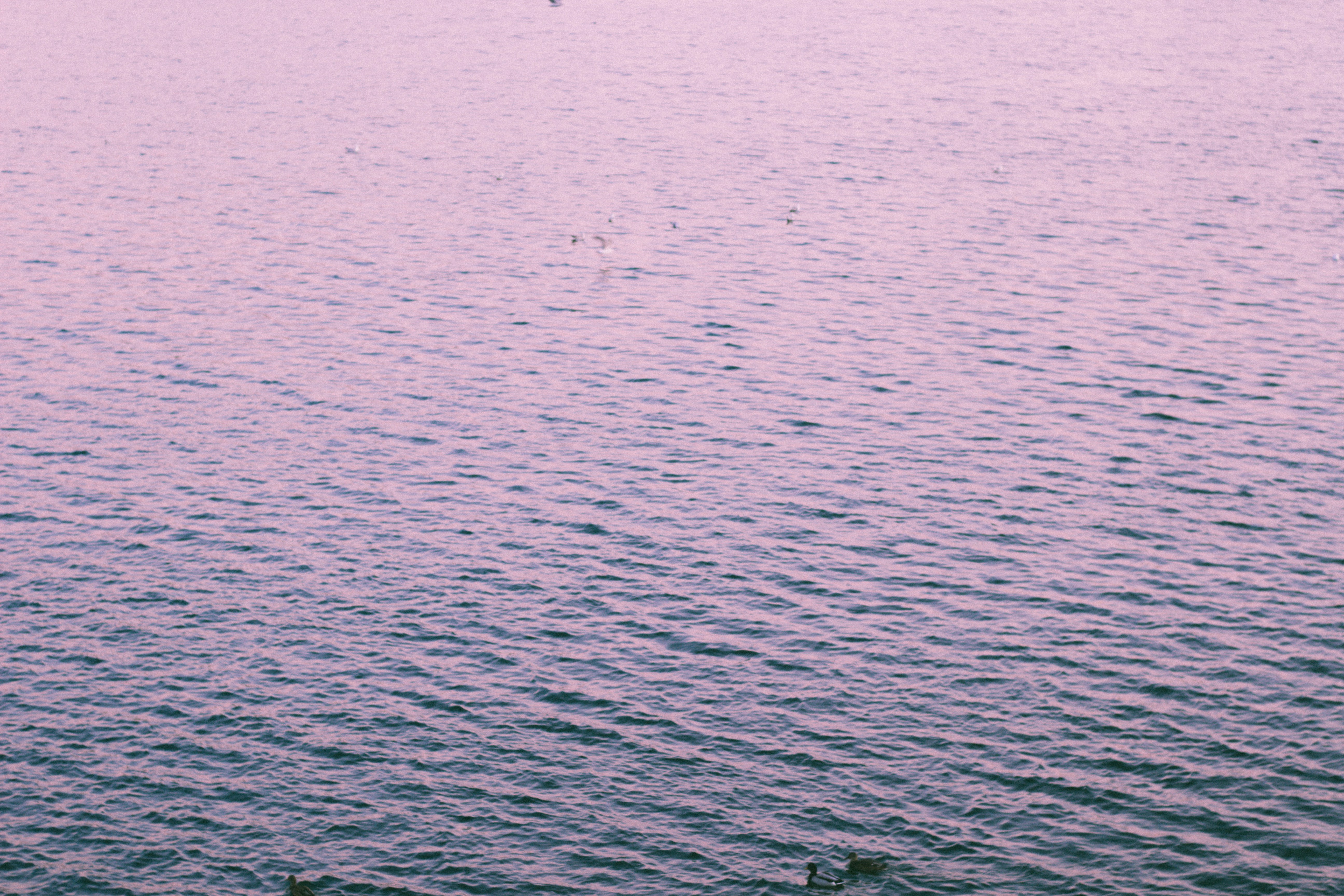body of water during daytime