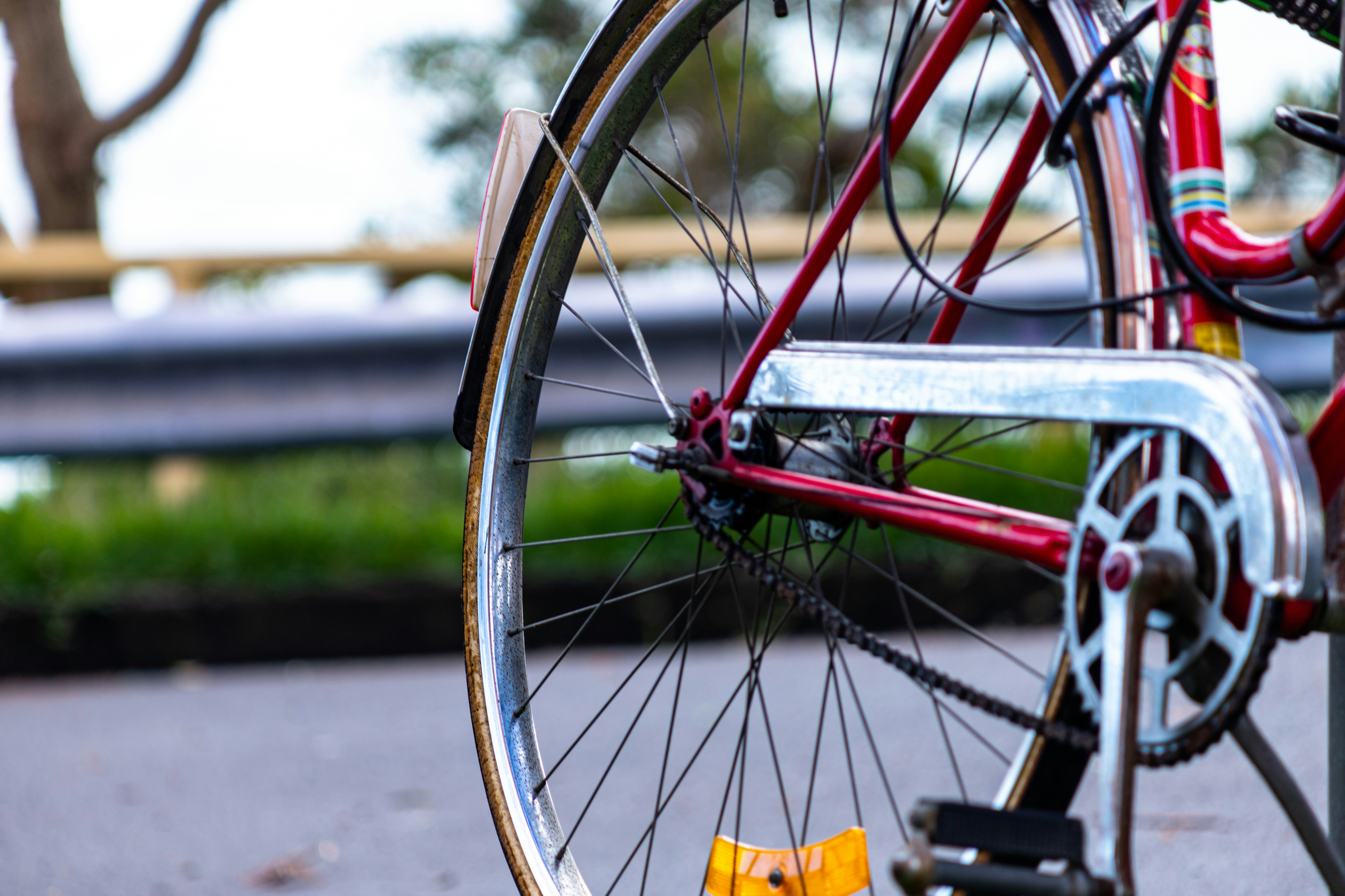 Foto Rueda de bicicleta roja con neumático – Imagen Máquina gratis en ...