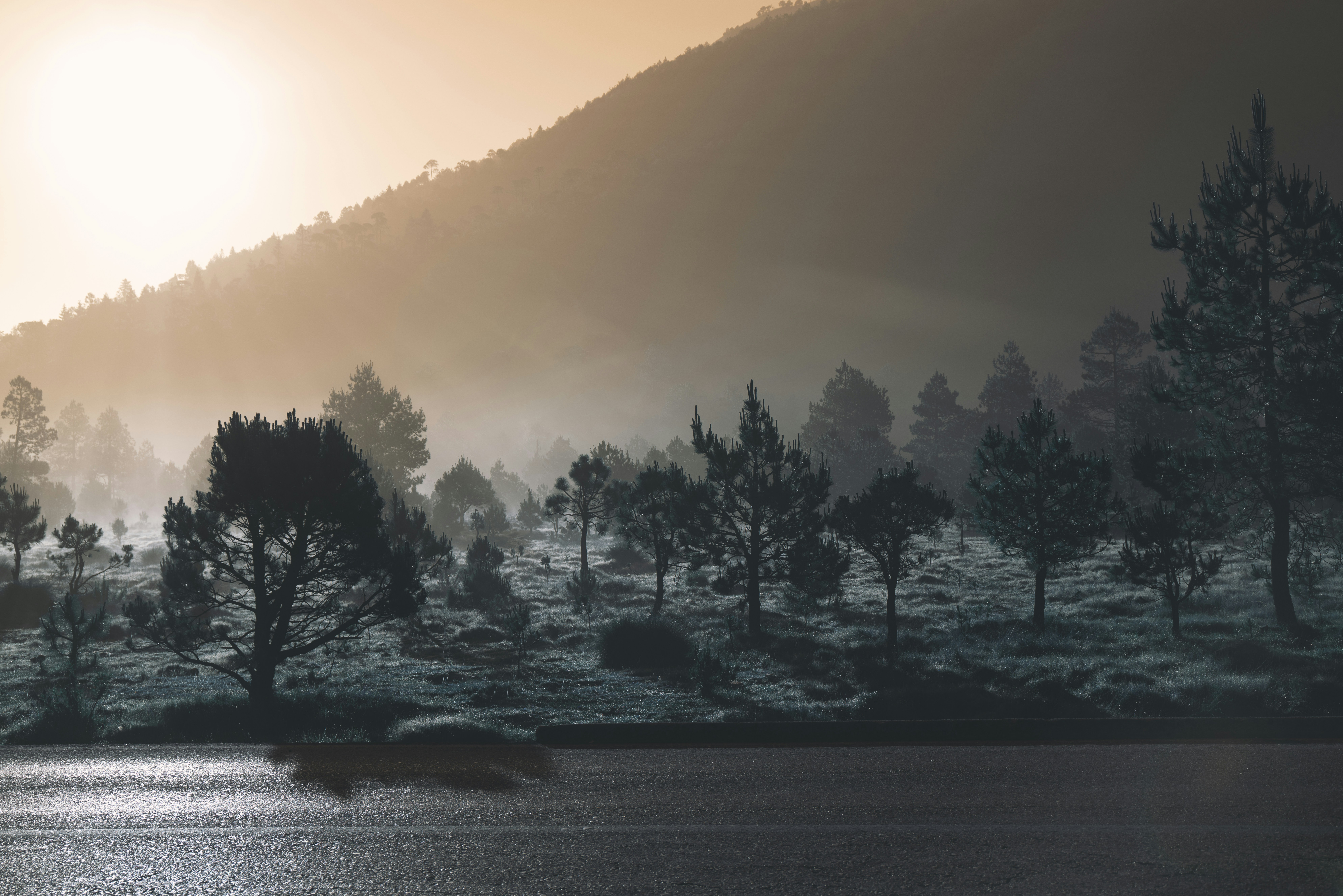 Sunlight pierces through misty fog over a serene mountain landscape dotted with pine trees.