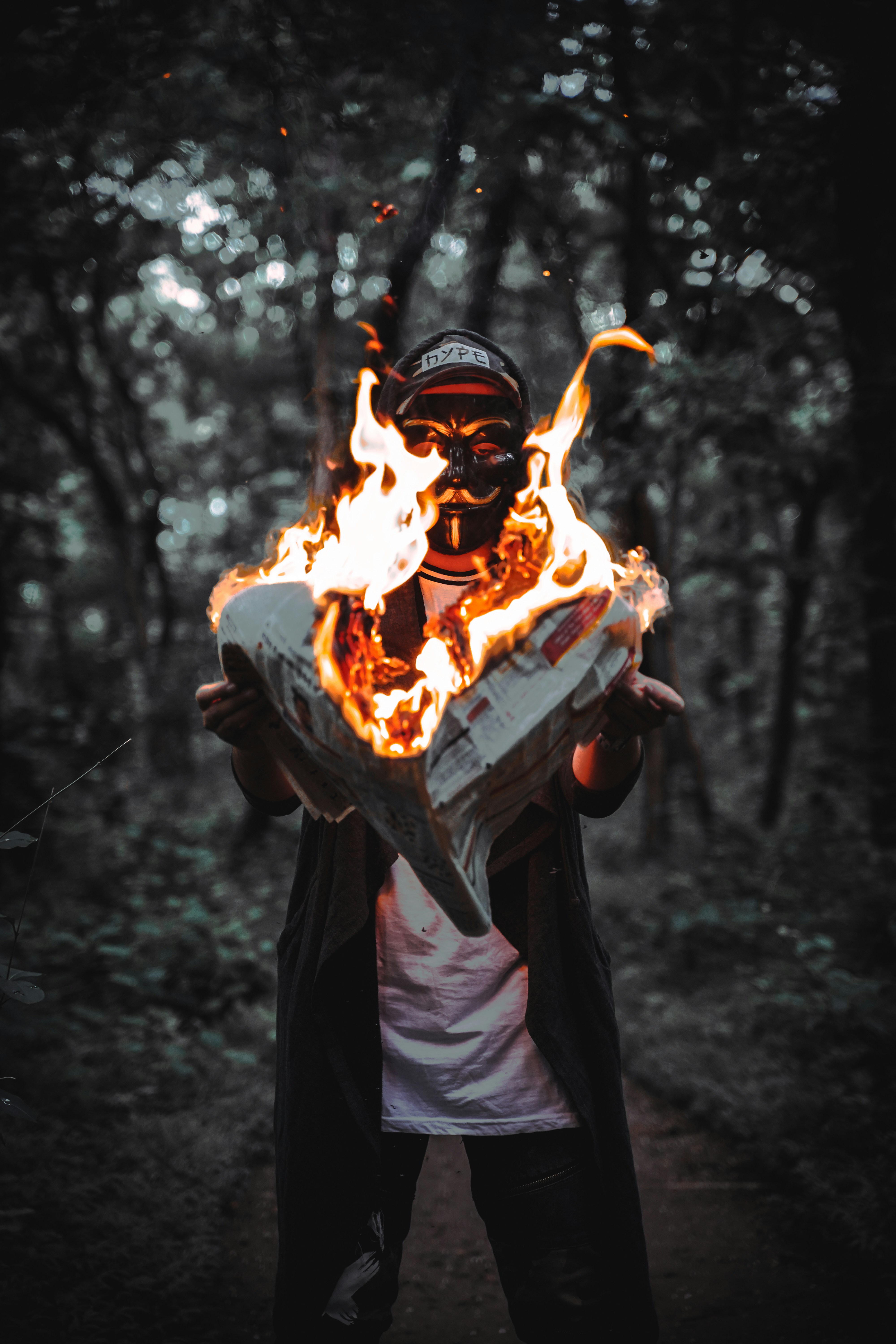 A man holding a book on fire in a forest photo – Free Person Image on ...