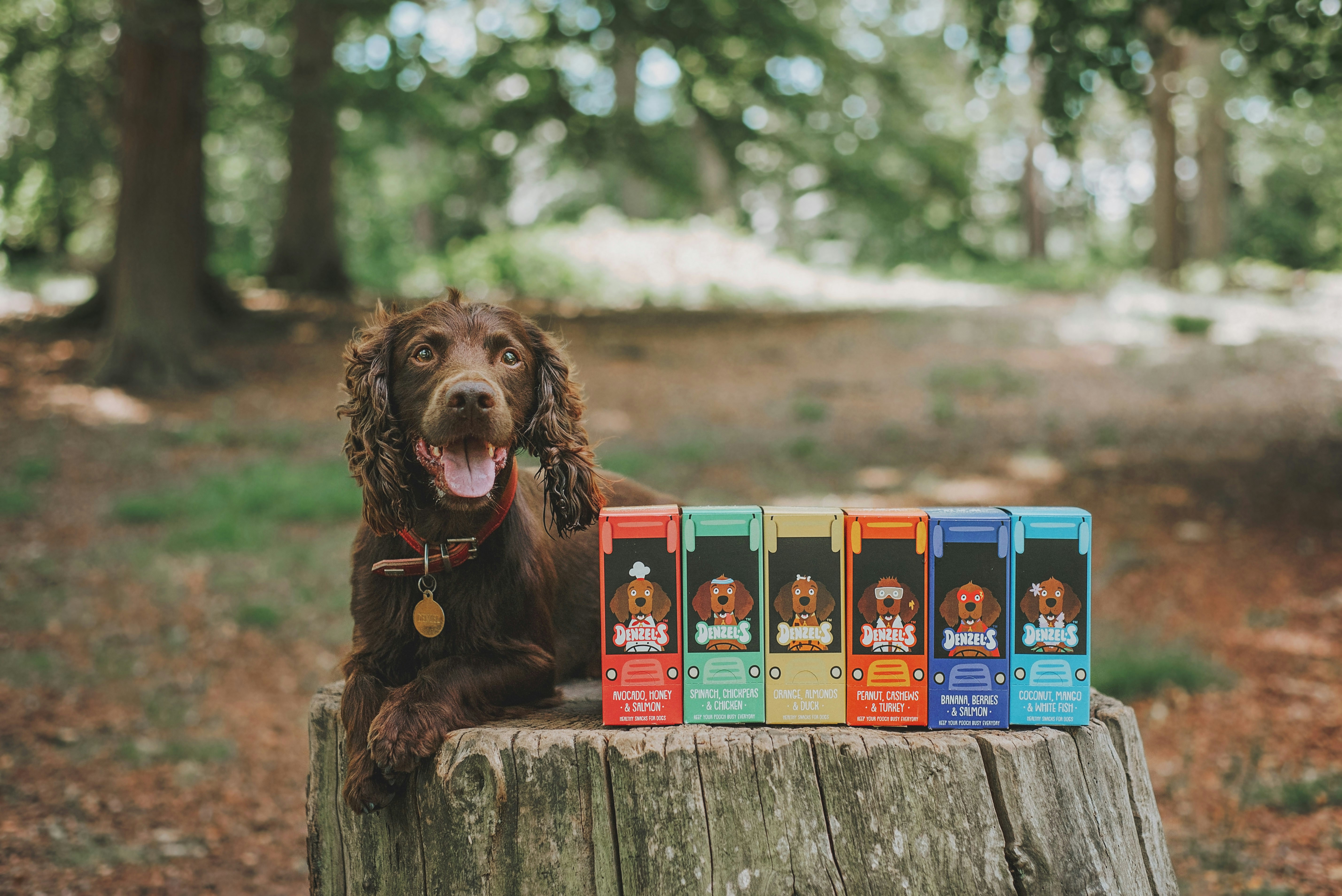 James Lacy (@jlacy7) | Comunidad de fotos de Unsplash