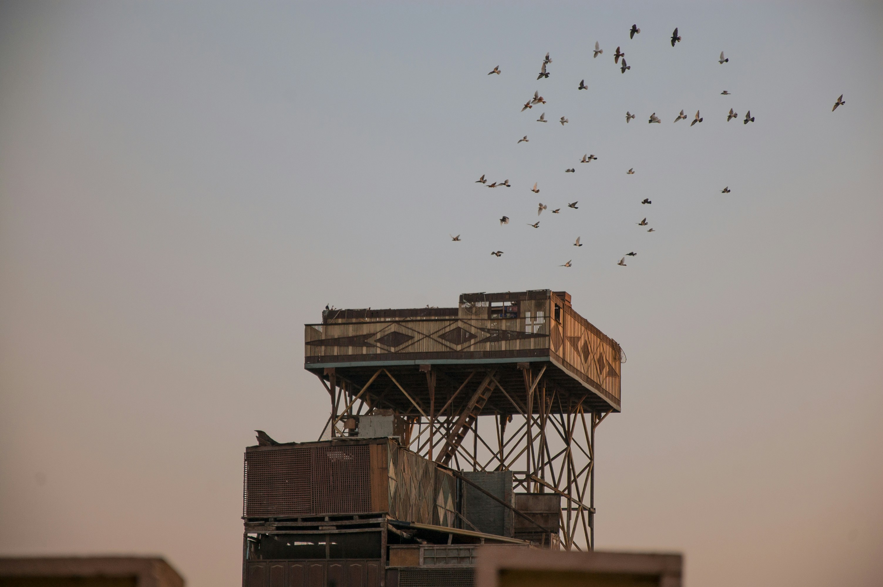 Photo by Joshua Michaels with Nikon D40