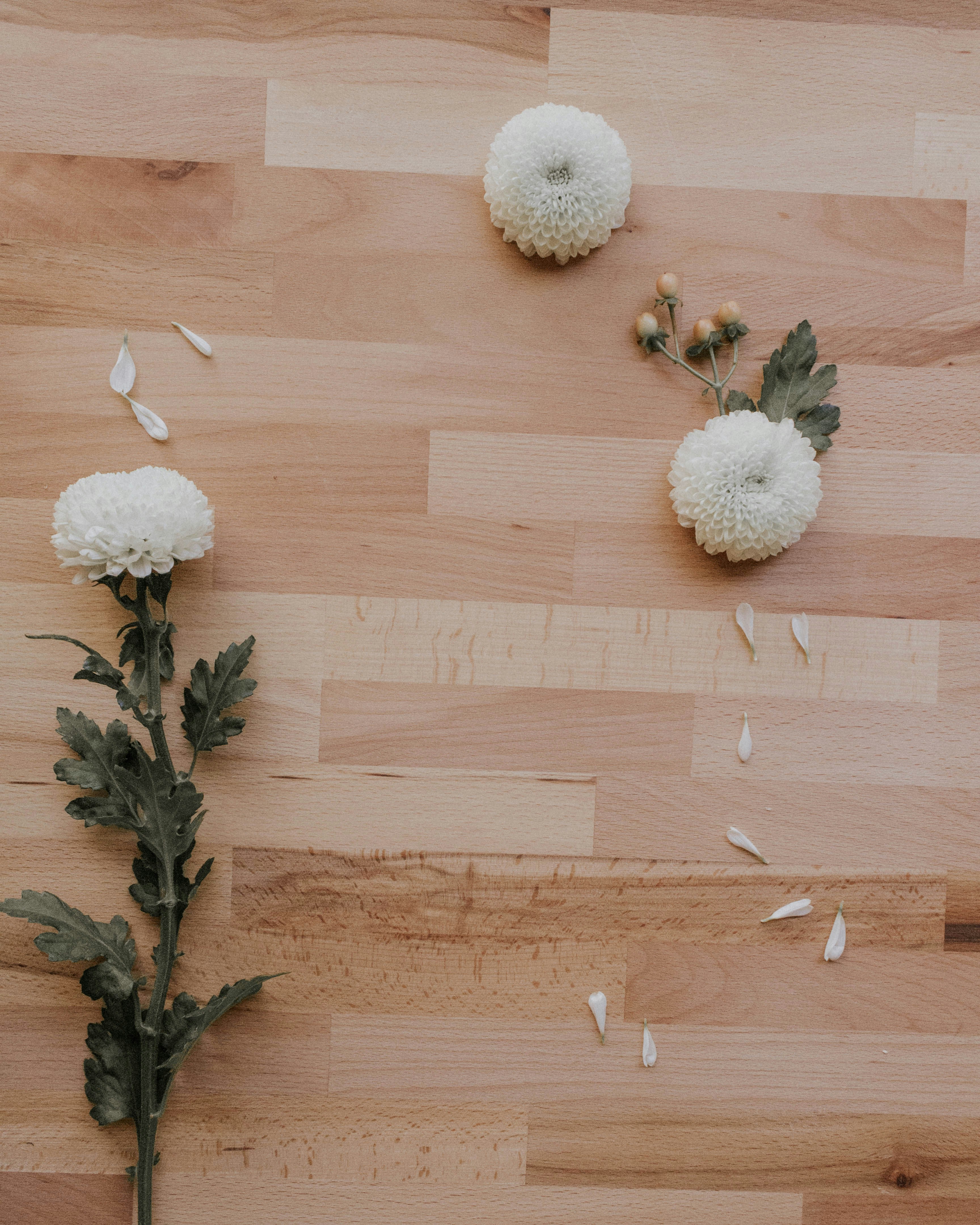 Flower Table Pictures | Download Free Images on Unsplash