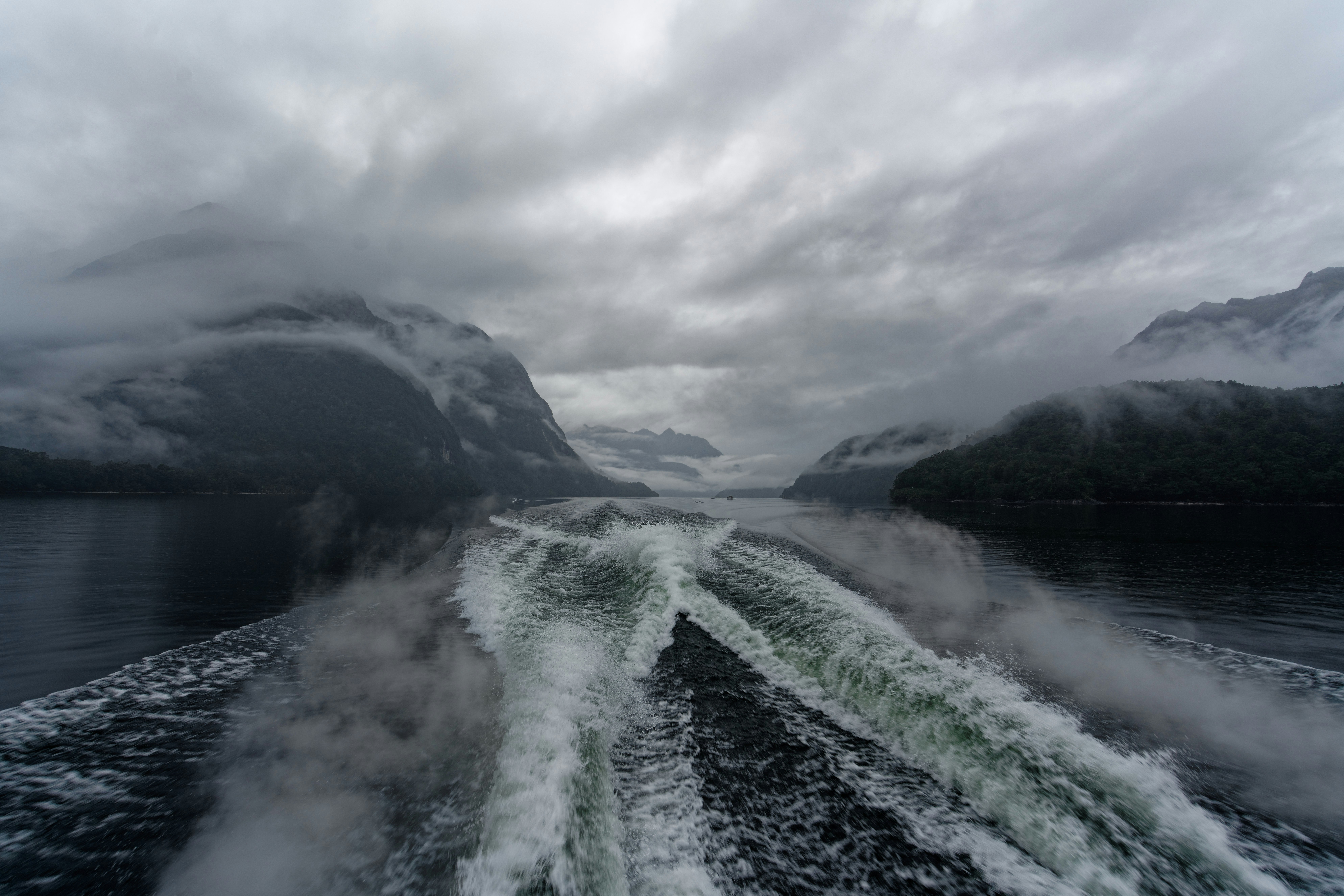 Doubtful Pictures | Download Free Images on Unsplash