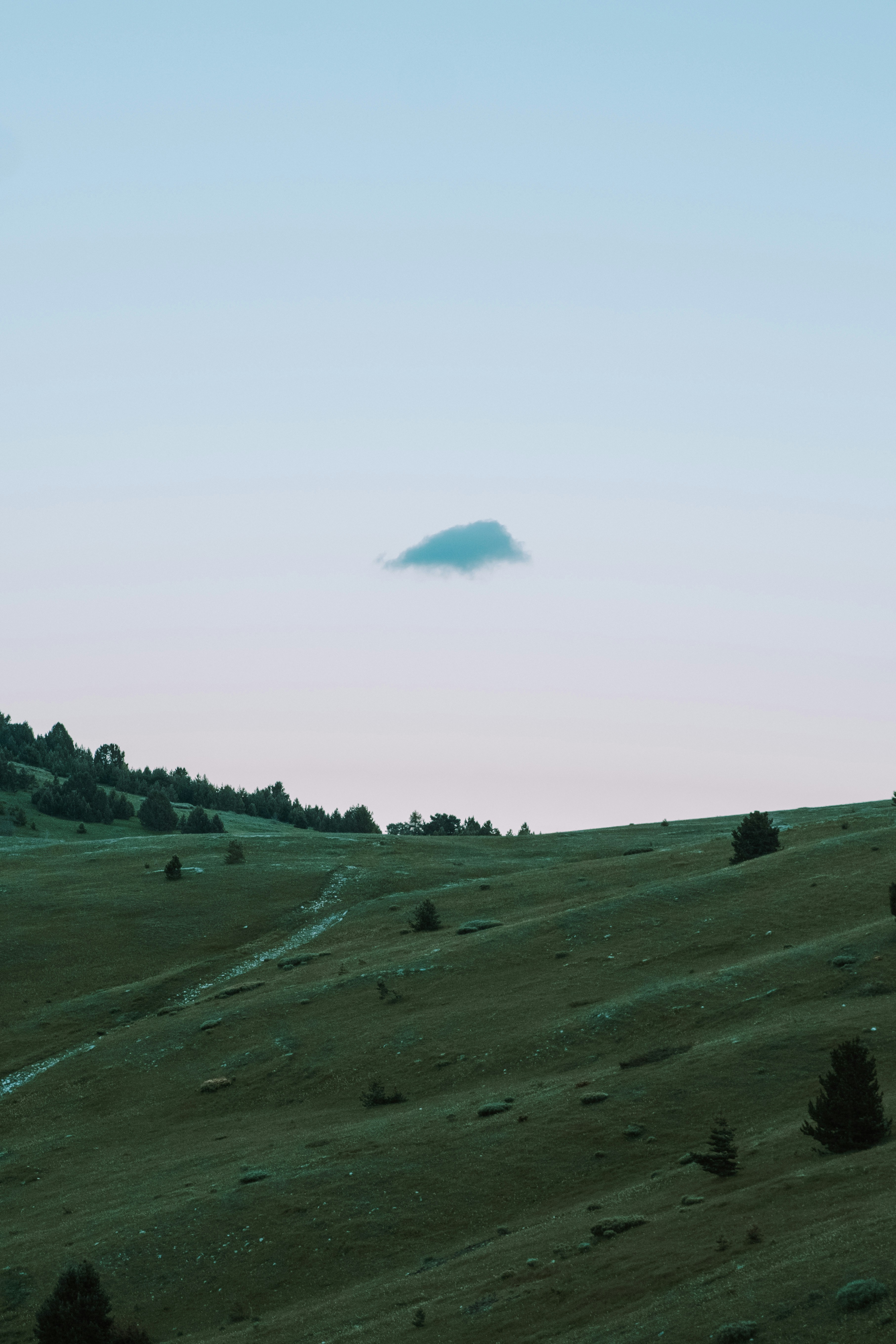 Nature Pics Pictures | Download Free Images on Unsplash