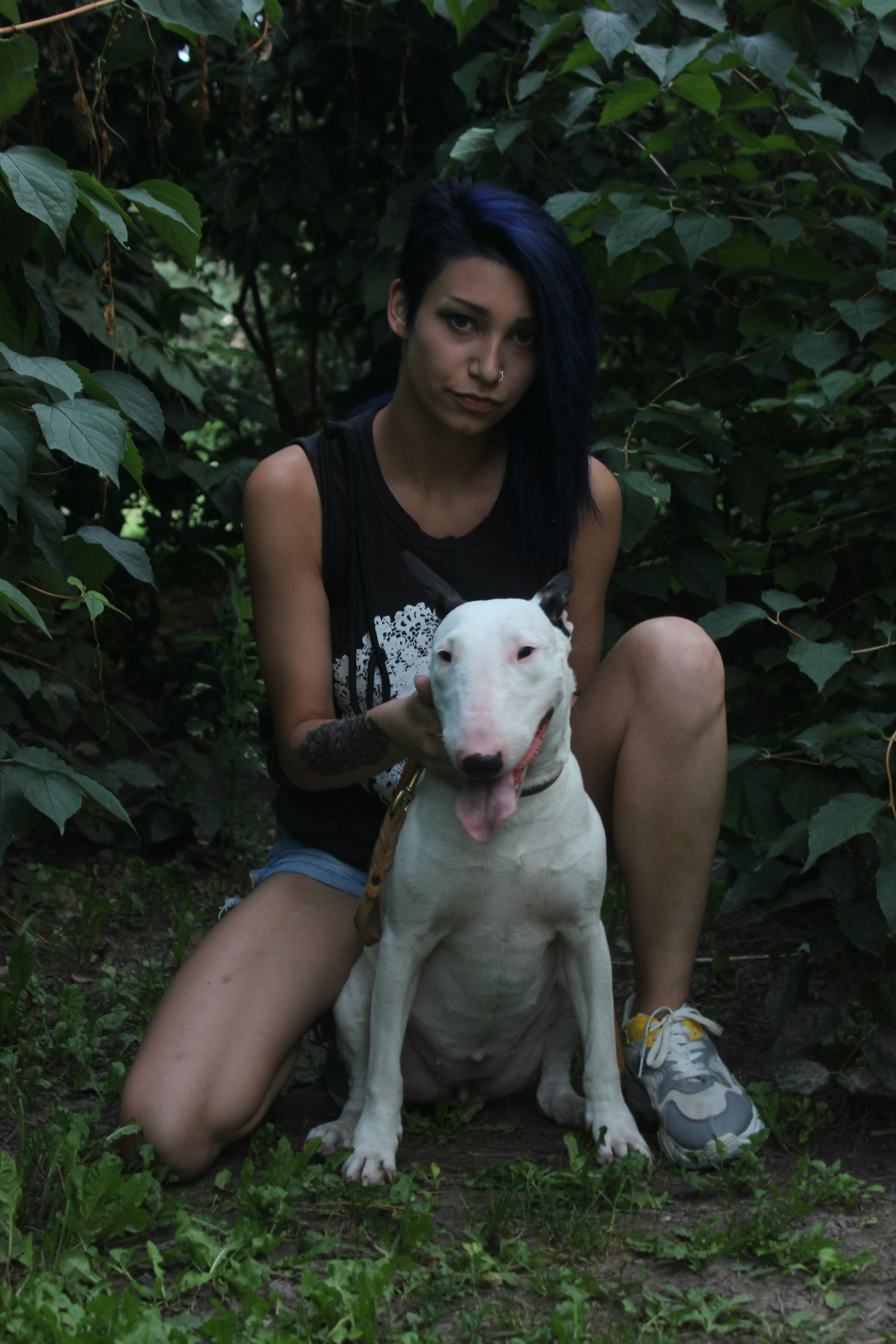 Blue hair and white dog in the bushes
