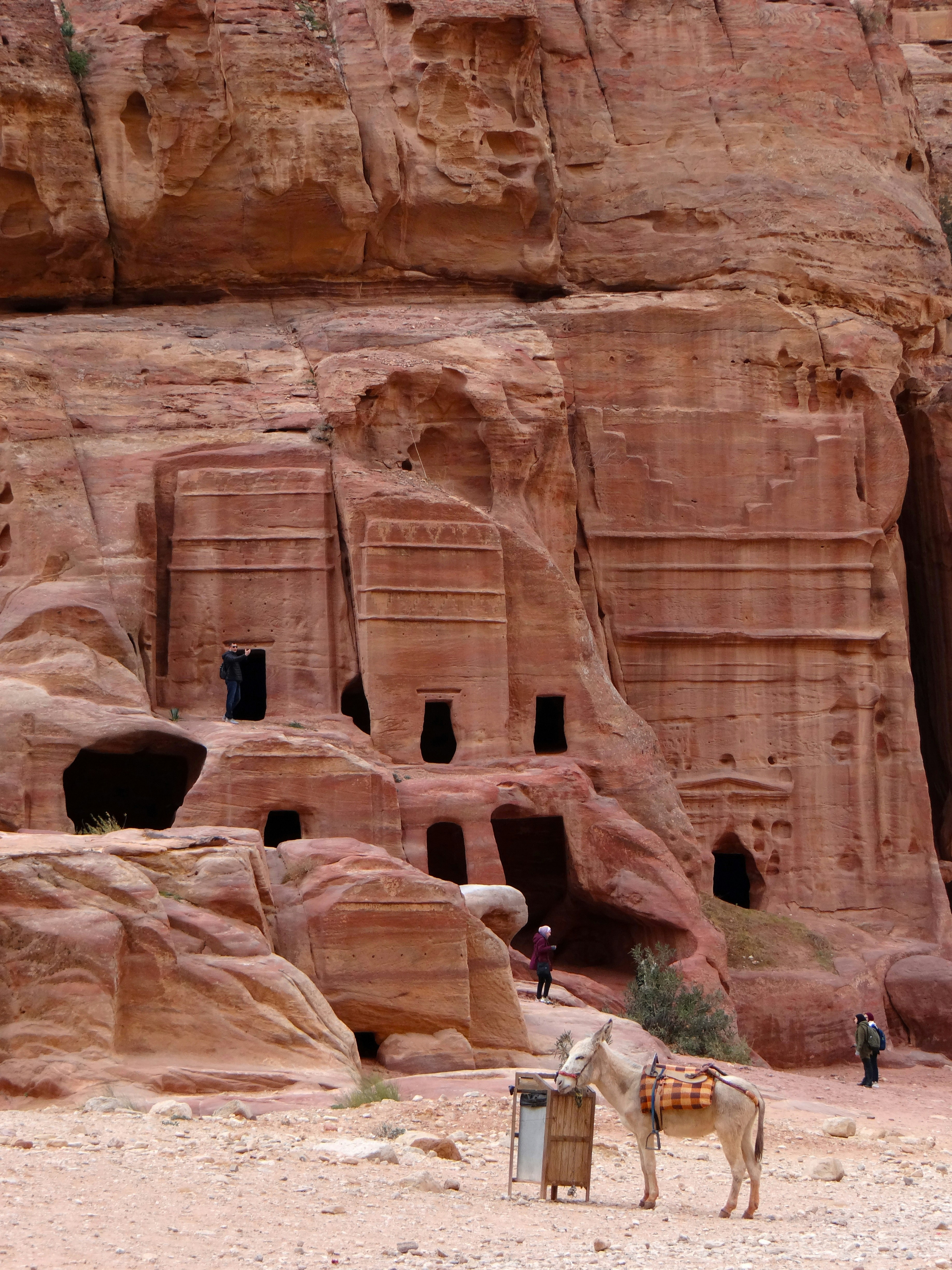 Ancient rock-cut facades of Petra, Jordan, with a donkey and visitors in the foreground. The intricate carvings highlight the architectural marvels of the Nabateans.