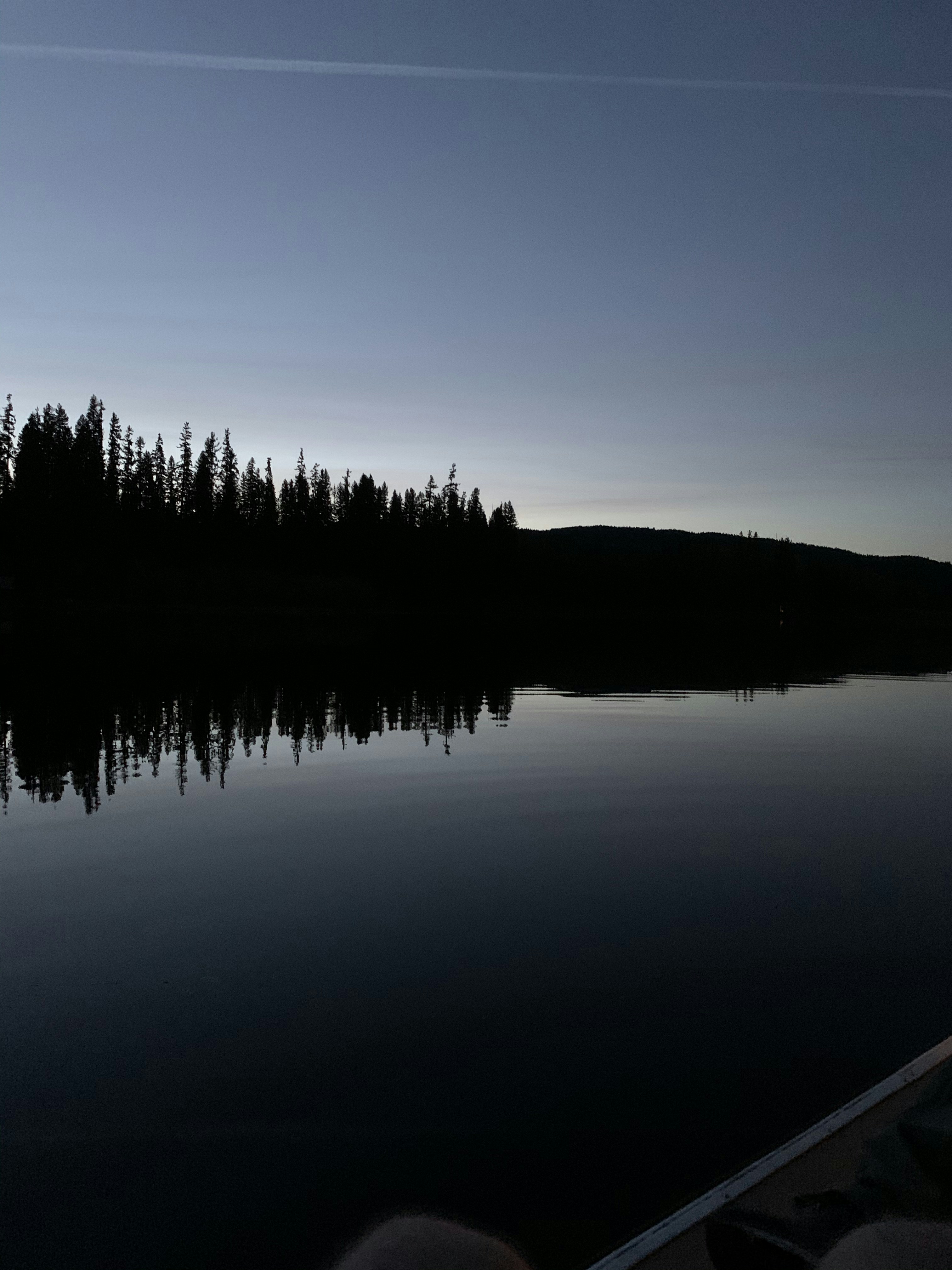 Silhouette of trees reflecting on a calm lake at twilight, creating a serene atmosphere.