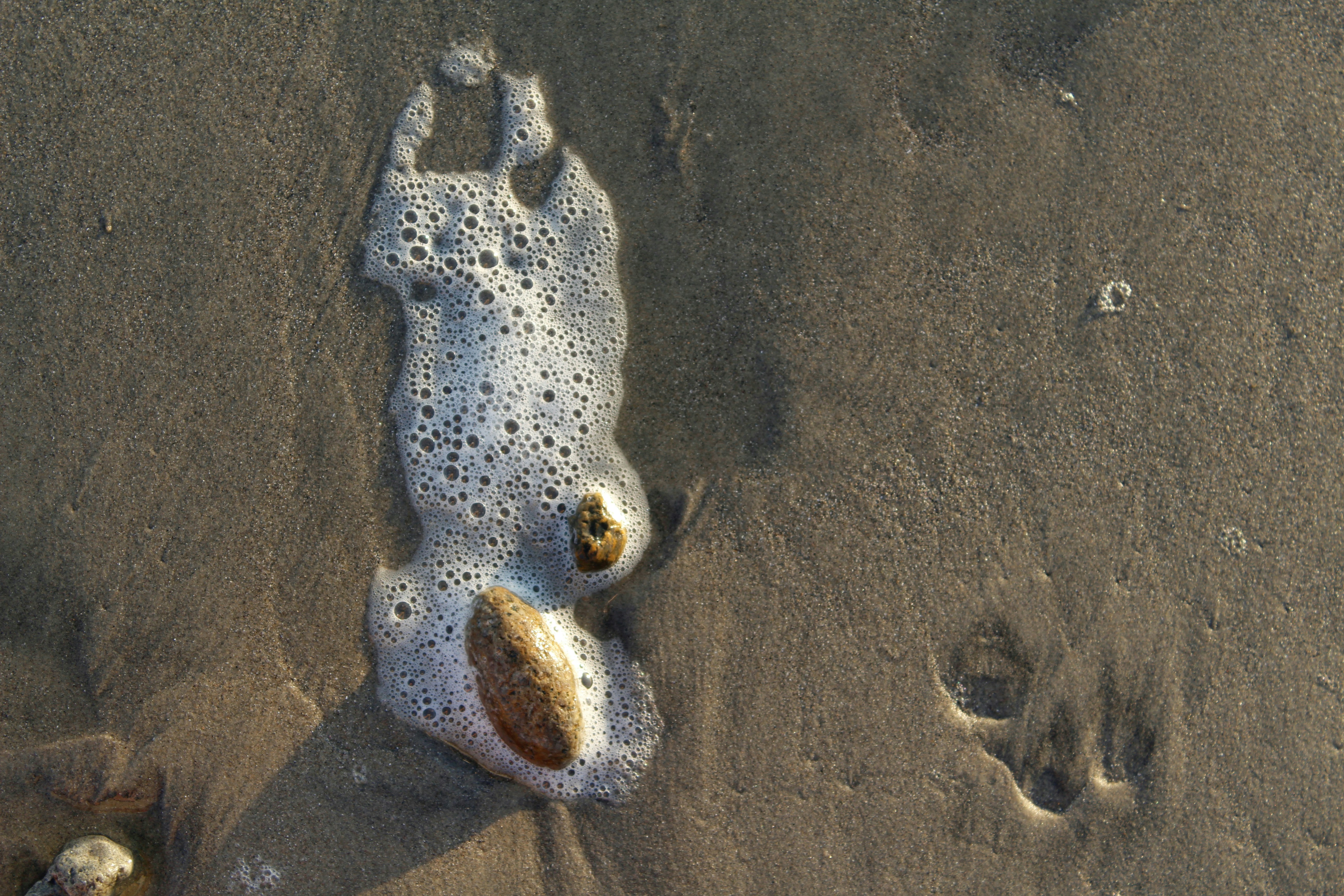 Foamy waves gently caress a smooth stone on a sandy beach, revealing the intricate patterns of nature. The scene captures the essence of tranquility at the water's edge.