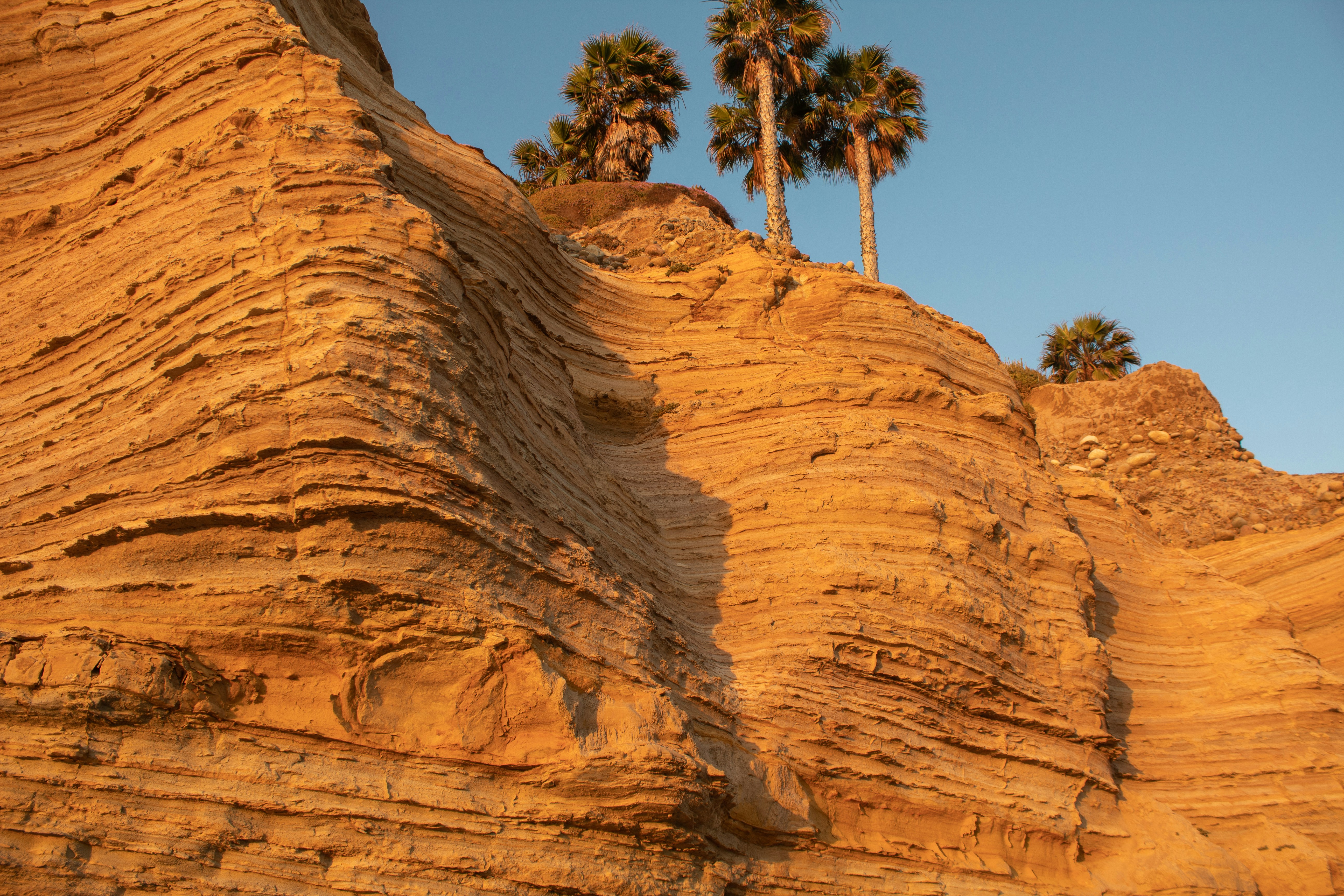 Amber Cliffscape with Palm Silhouettes Beneath a Clear Sky