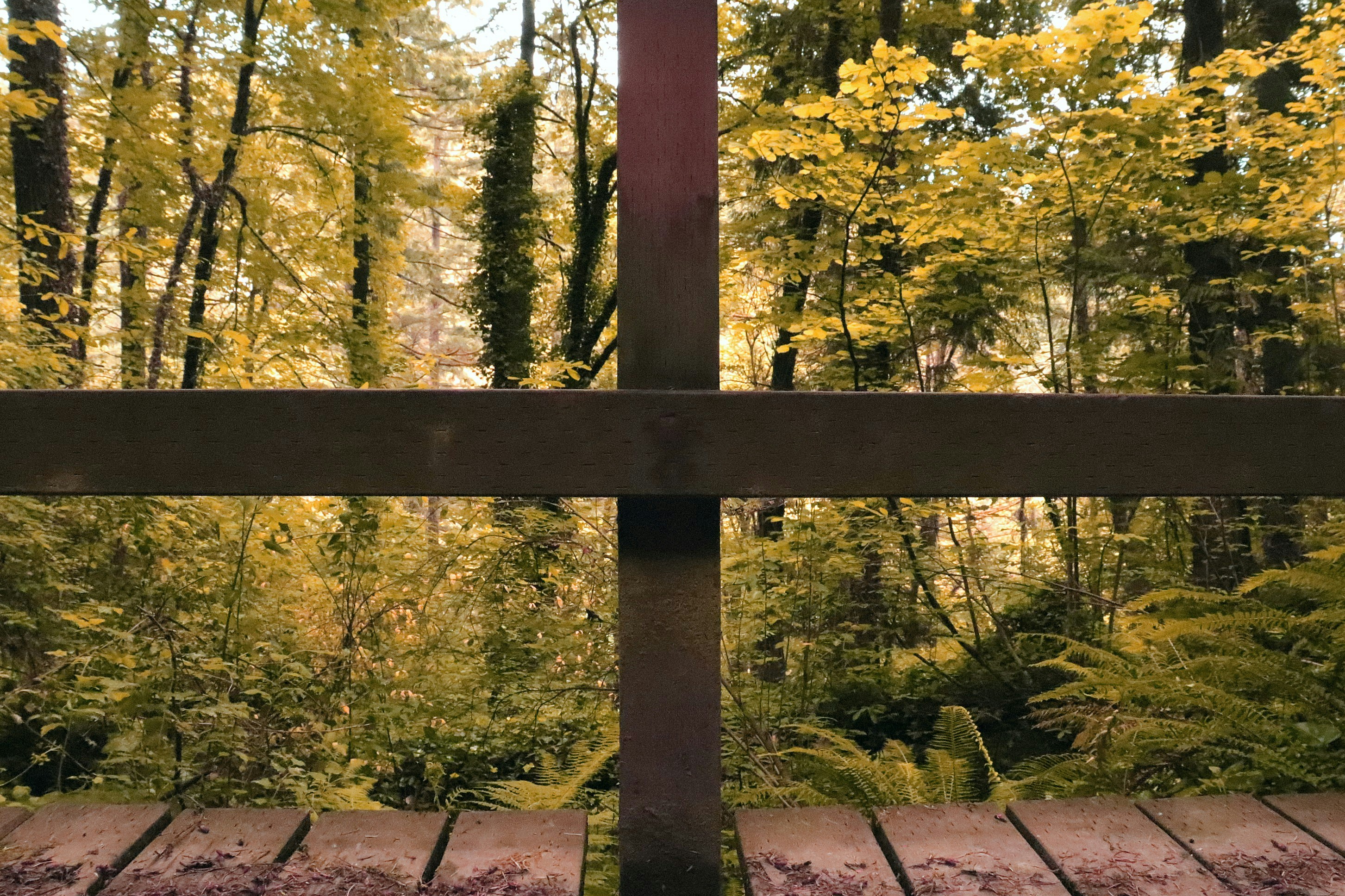 joy Wilder (@joywilder) | Comunidad de fotos de Unsplash