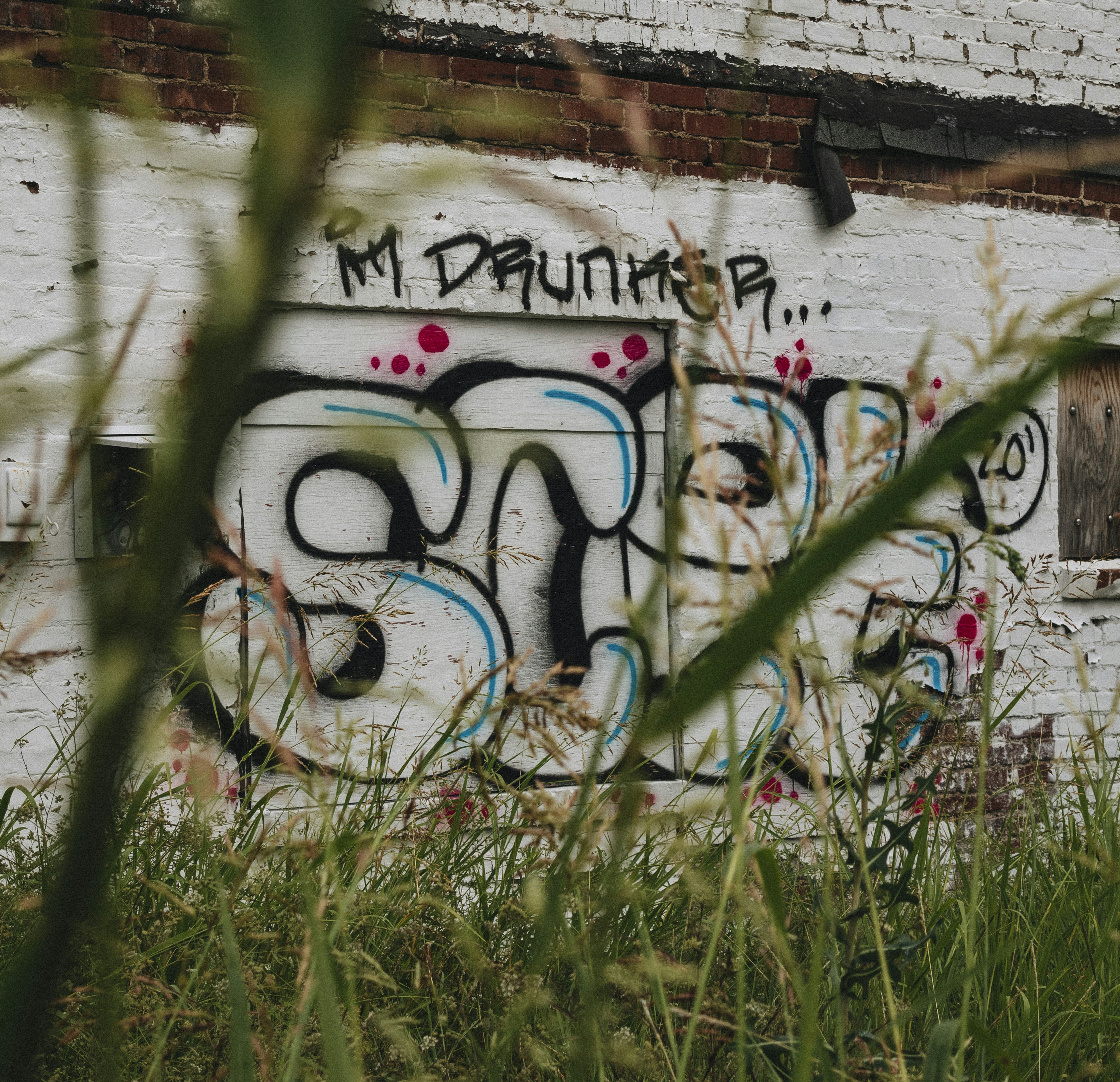 Photograph of graffiti on a weathered brick wall, framed by tall foreground grasses. The mural’s bold shapes peek through the blades, with the plants creating a natural frame.
