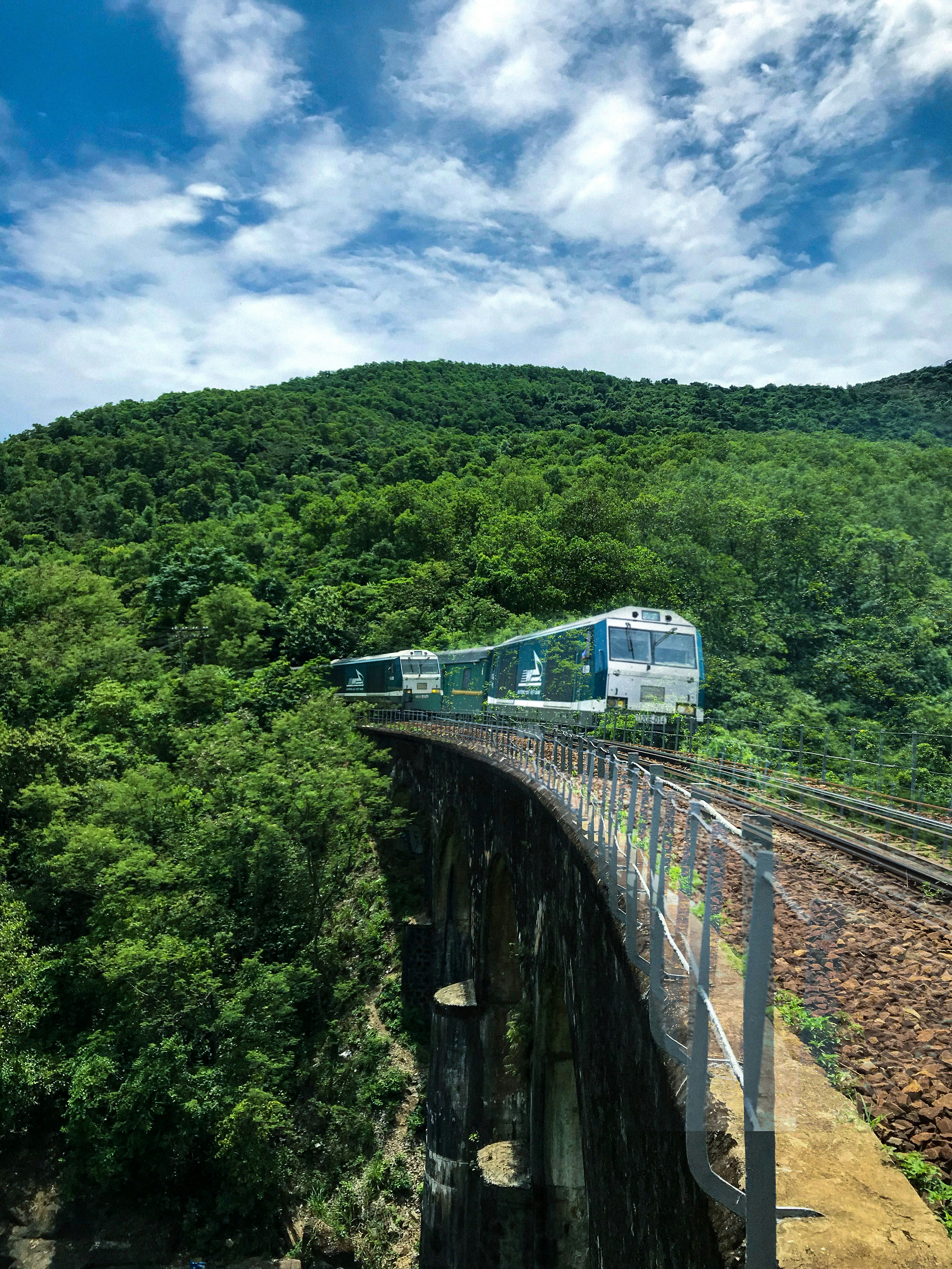 Emerald Viaduct Express: A Train Traversing a Lush, Curved Gorge