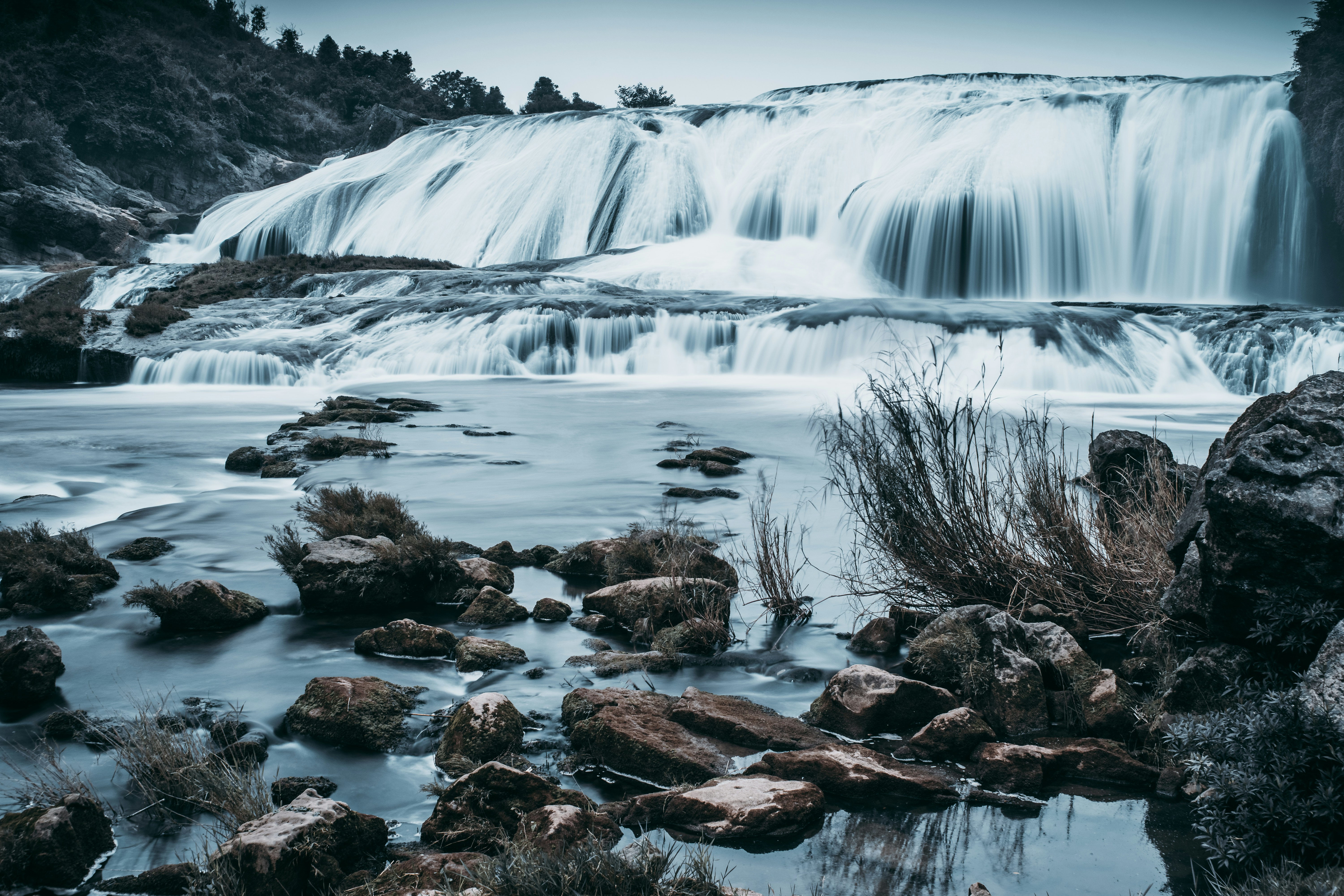 Dragon Pan (@invisibledragon) | Komunitas Foto Unsplash