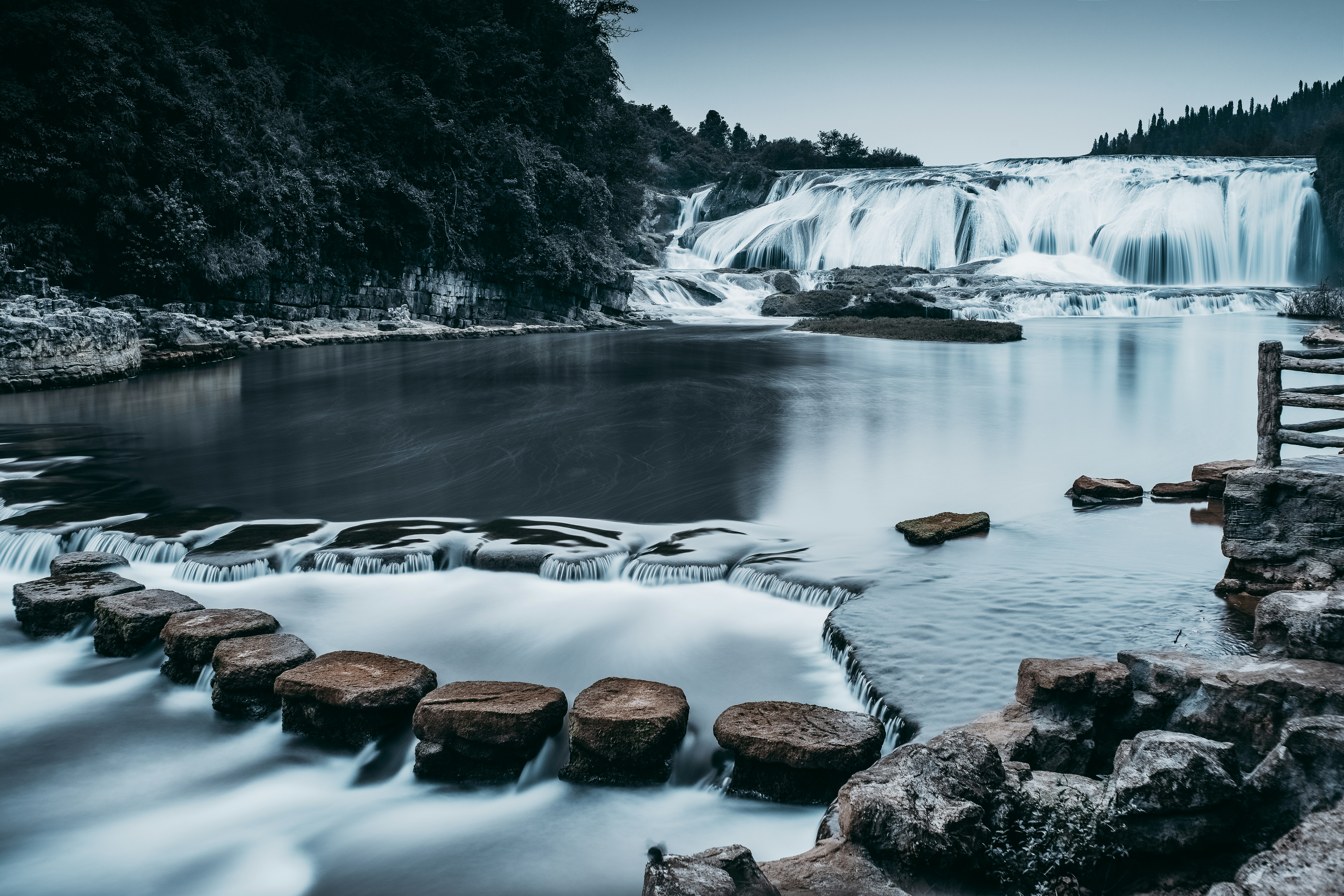 Dragon Pan (@invisibledragon) | Komunitas Foto Unsplash