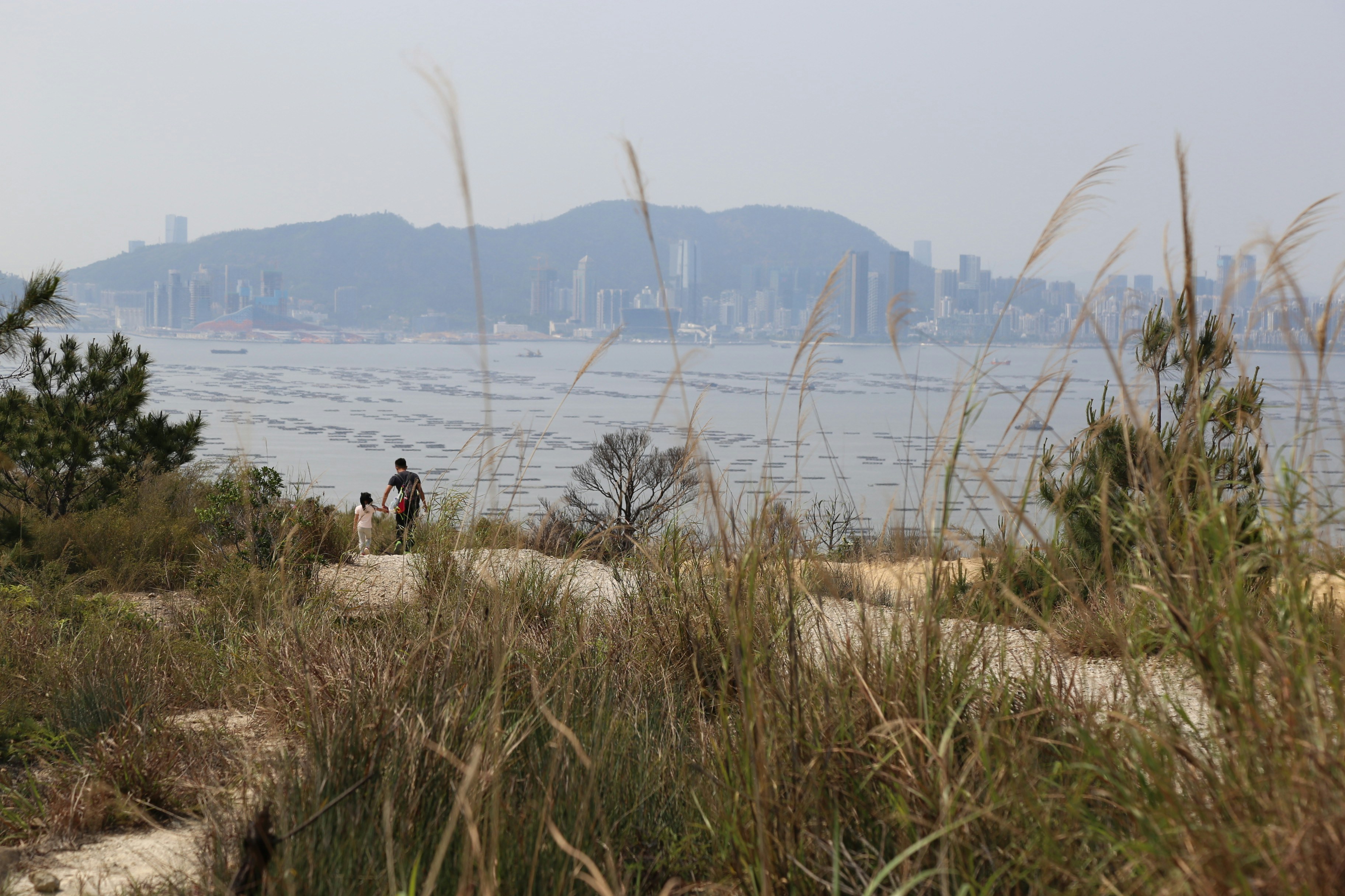A serene landscape featuring tall grasses in the foreground, with a couple walking along a path and a distant city skyline across the water. 