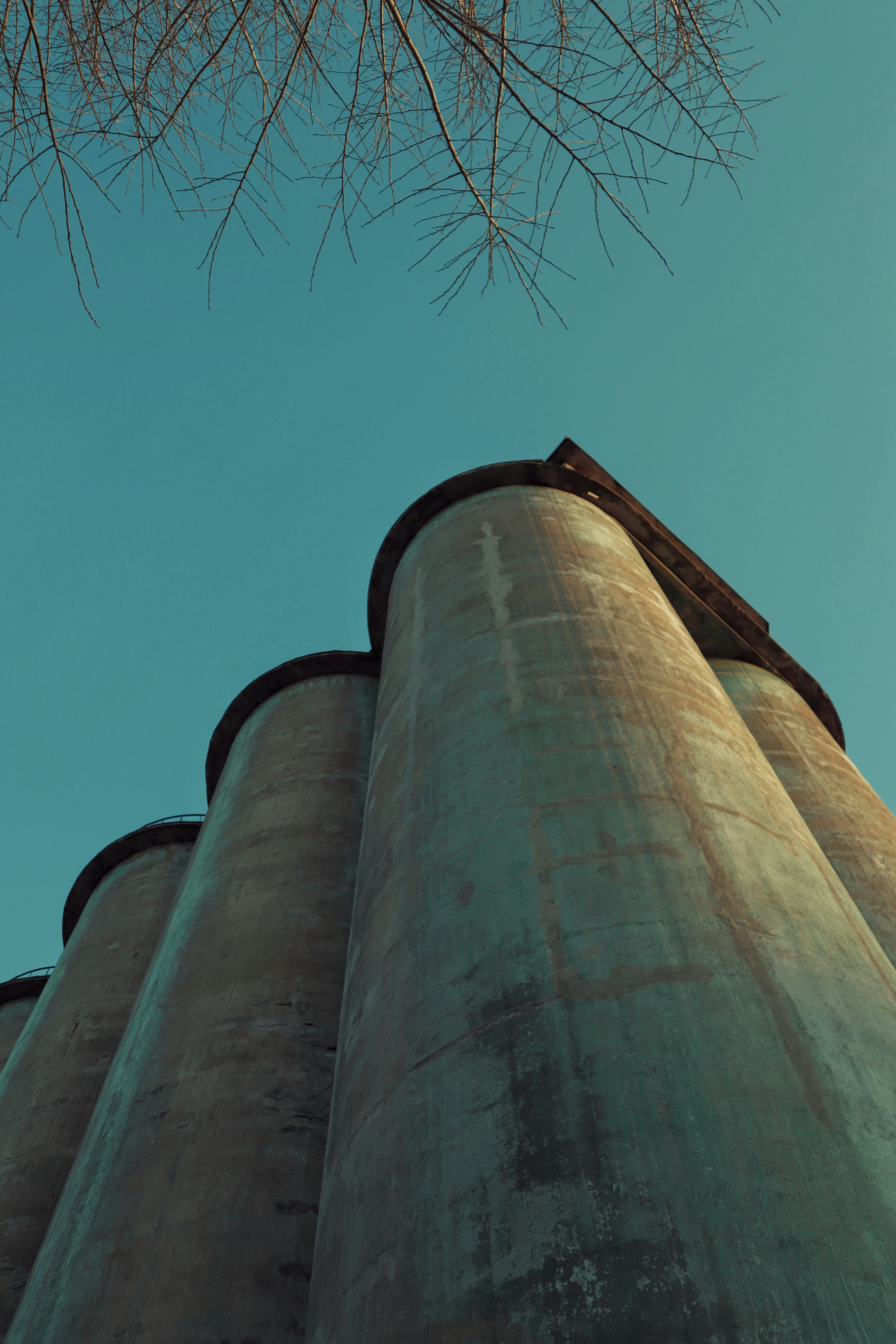 Vertical Columns Reaching Toward a Shifting Sky