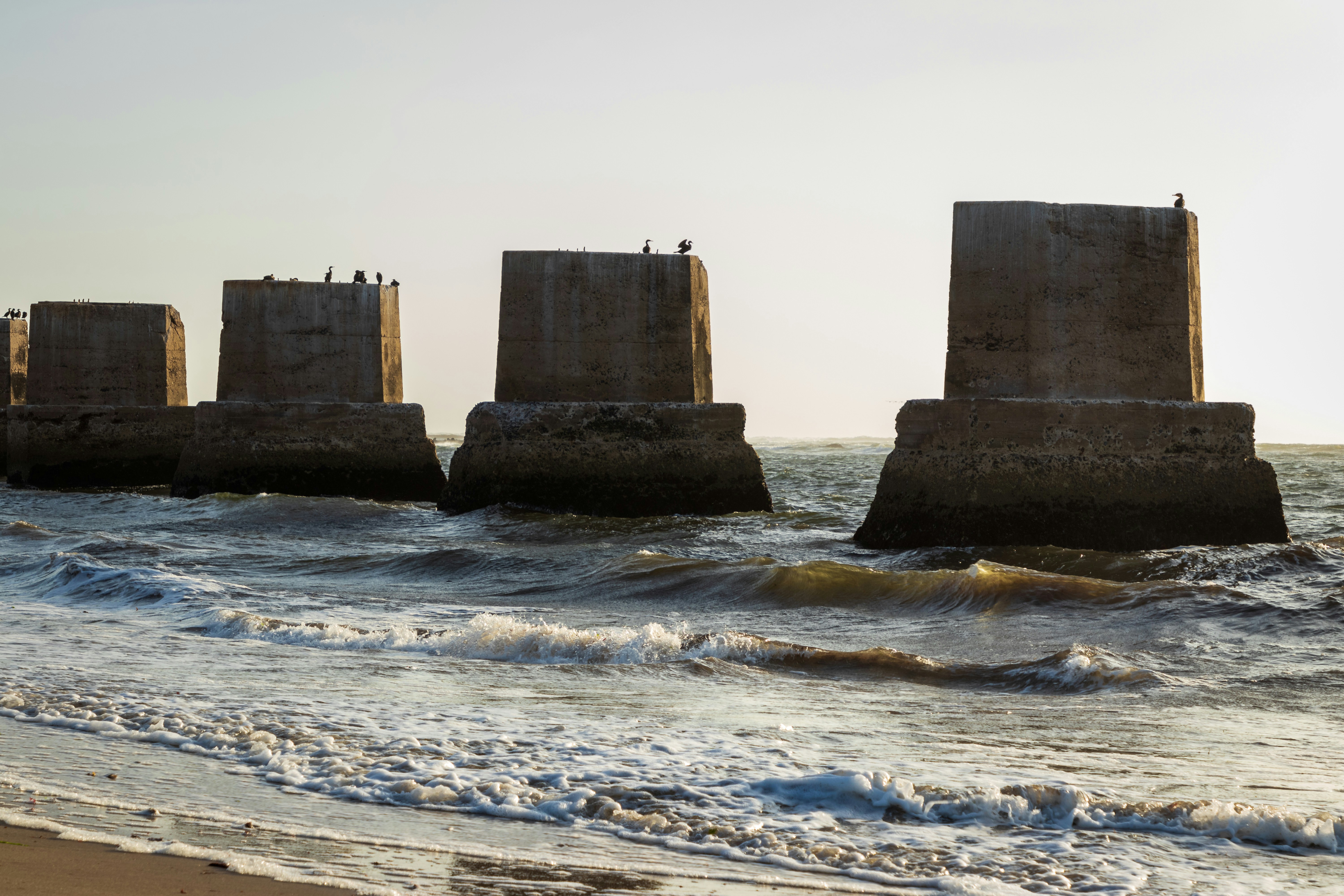 Fortified Giants: Concrete Breakwaters Rise from the Tidal Line