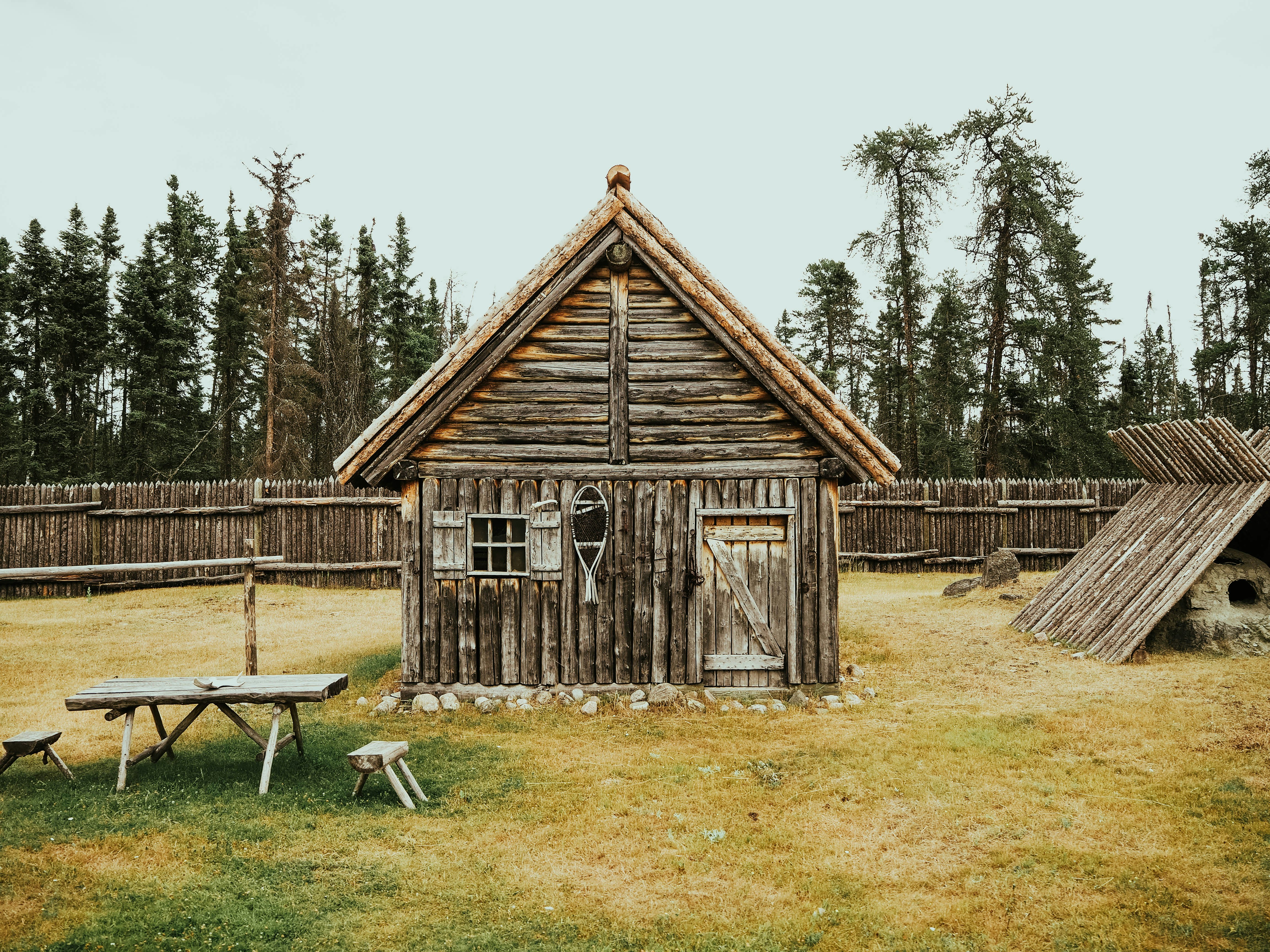 Timber Lines and Pine Fringes: A Rustic Cabin in the Open Clearing