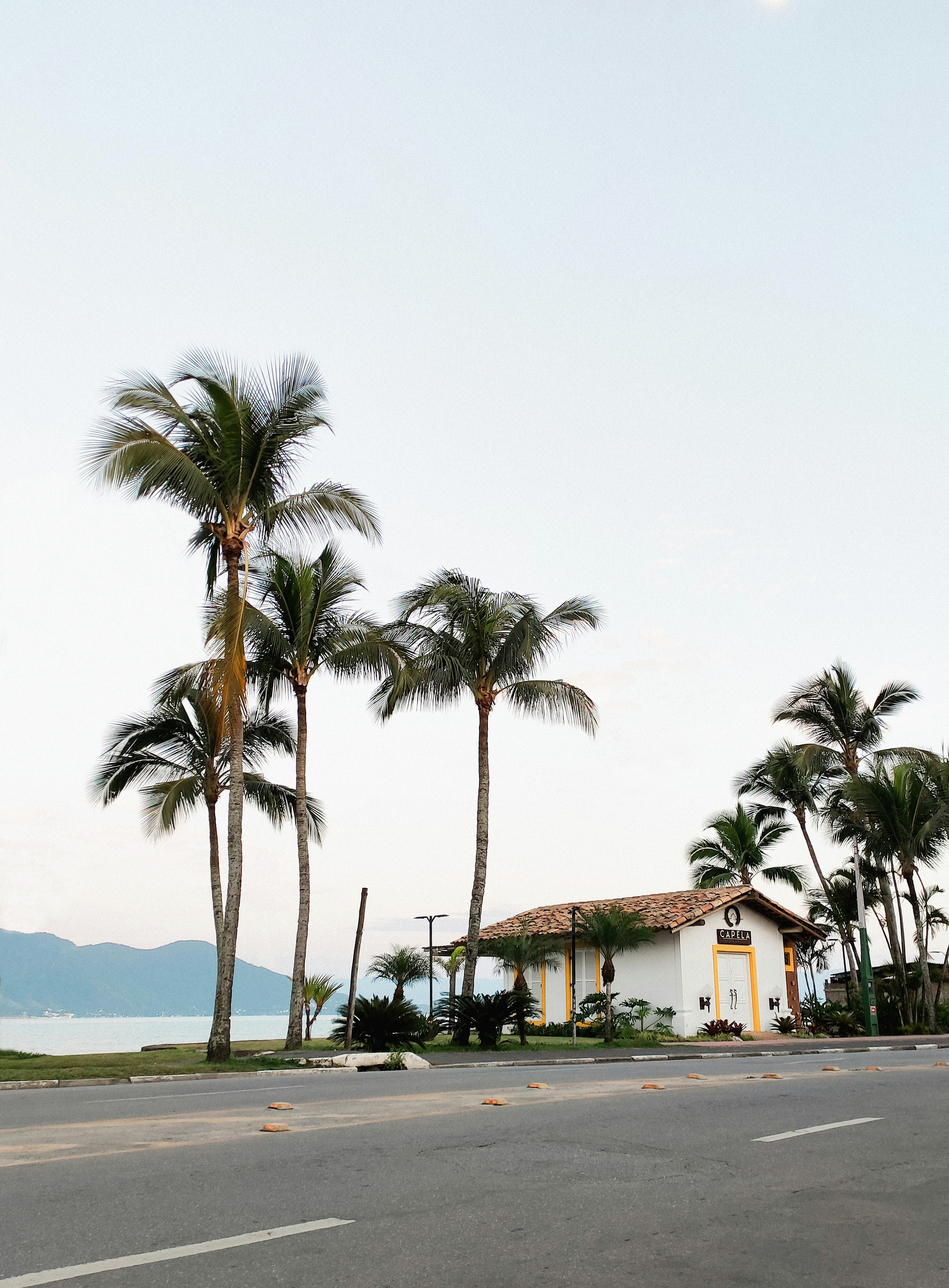 Palm trees line a coastal road with a small white-and-yellow building by the shore, calm water beyond and distant mountains.