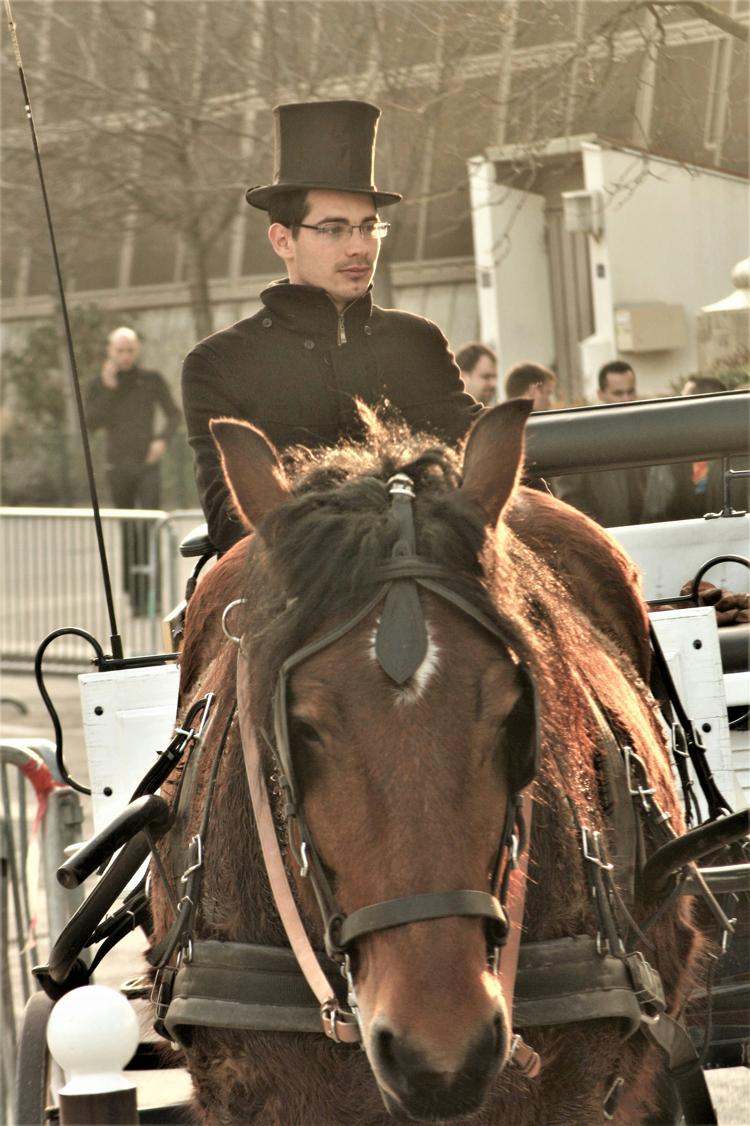 A man in a top hat rides a horse-drawn carriage, showcasing a blend of tradition and contemporary style. The scene captures the essence of urban equestrian culture.
