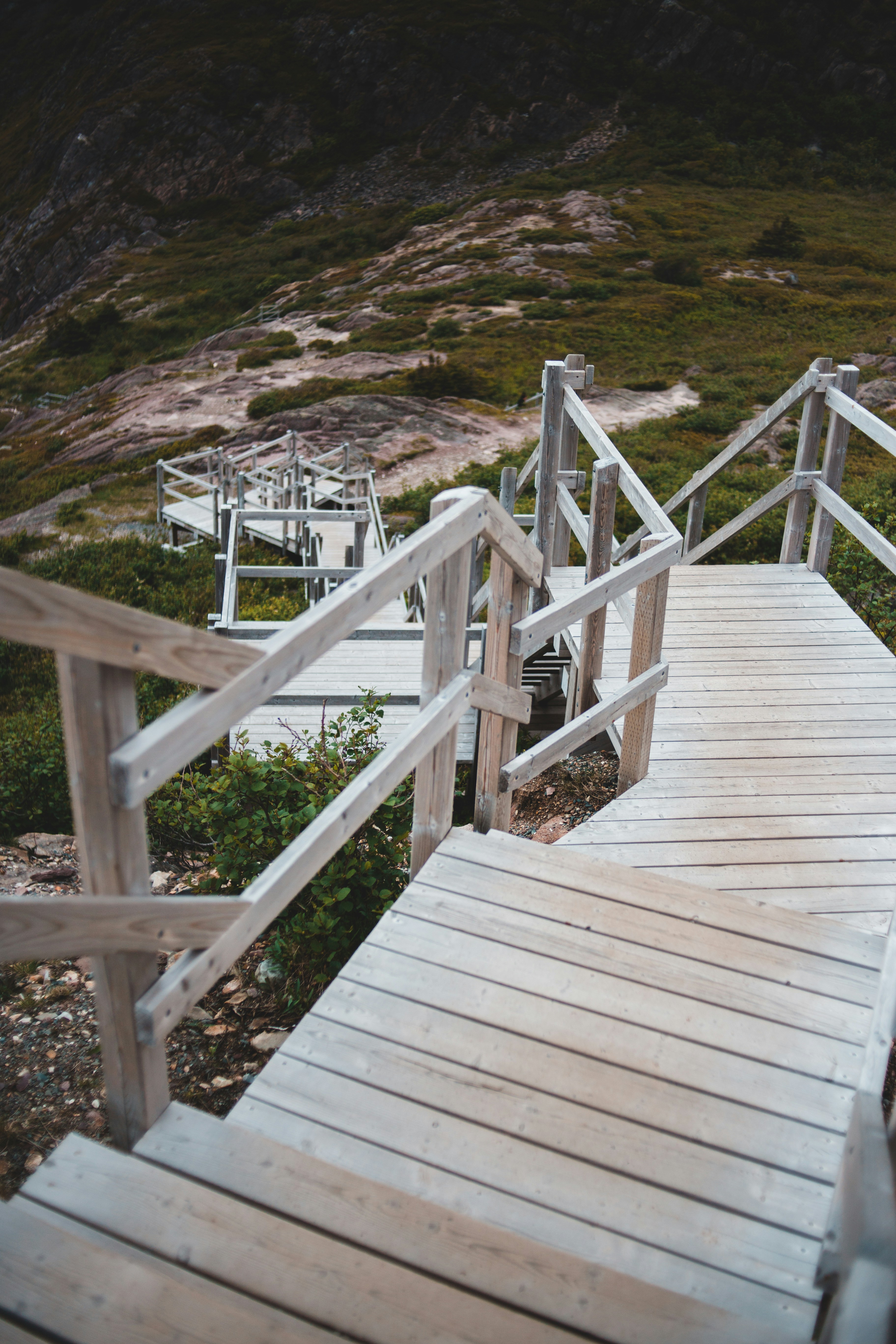 Staircase to the Ridge: Weathered Wood Descends into a Wind-Swept Panorama