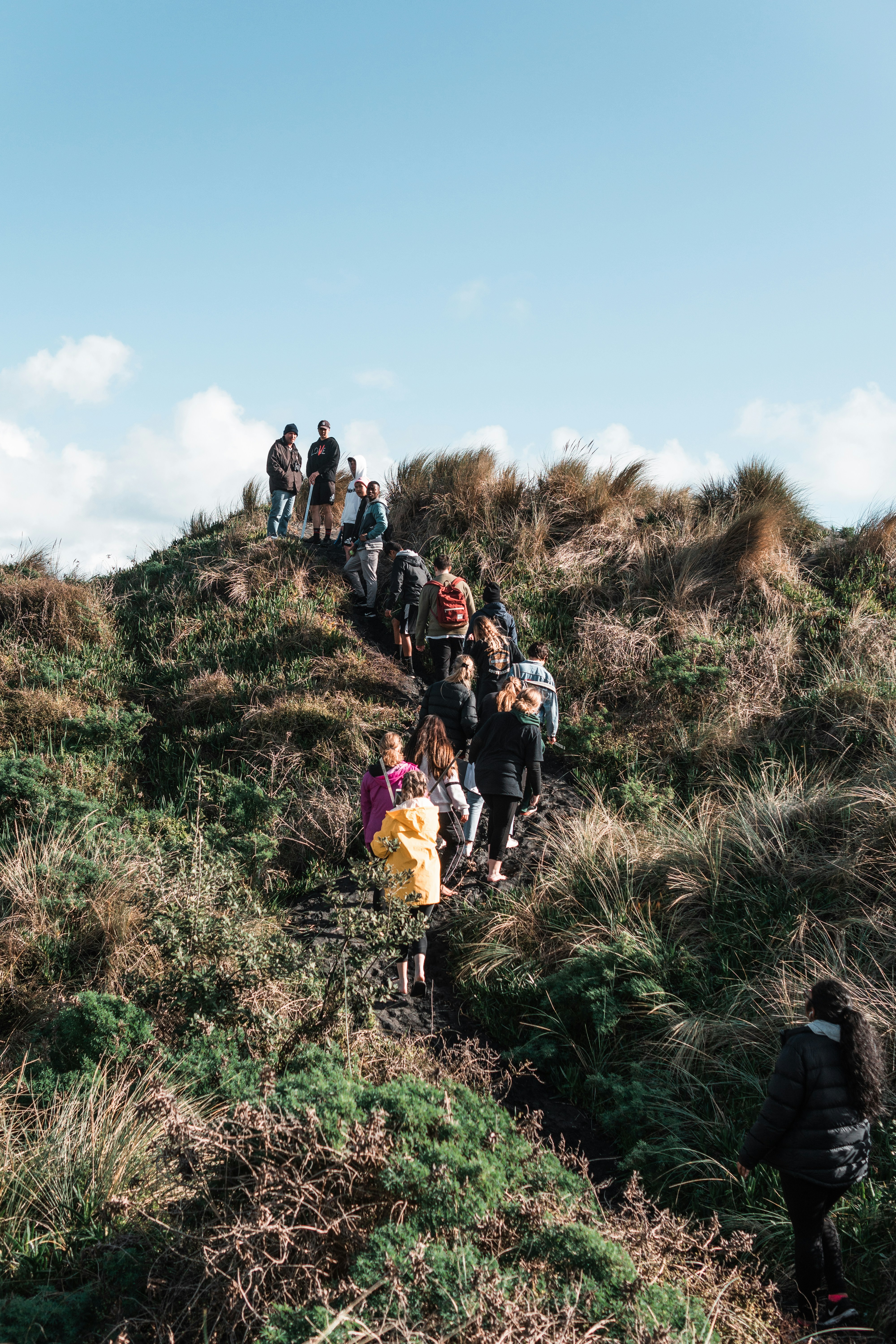 People walking on green grass field during daytime photo – Free Muriwai ...
