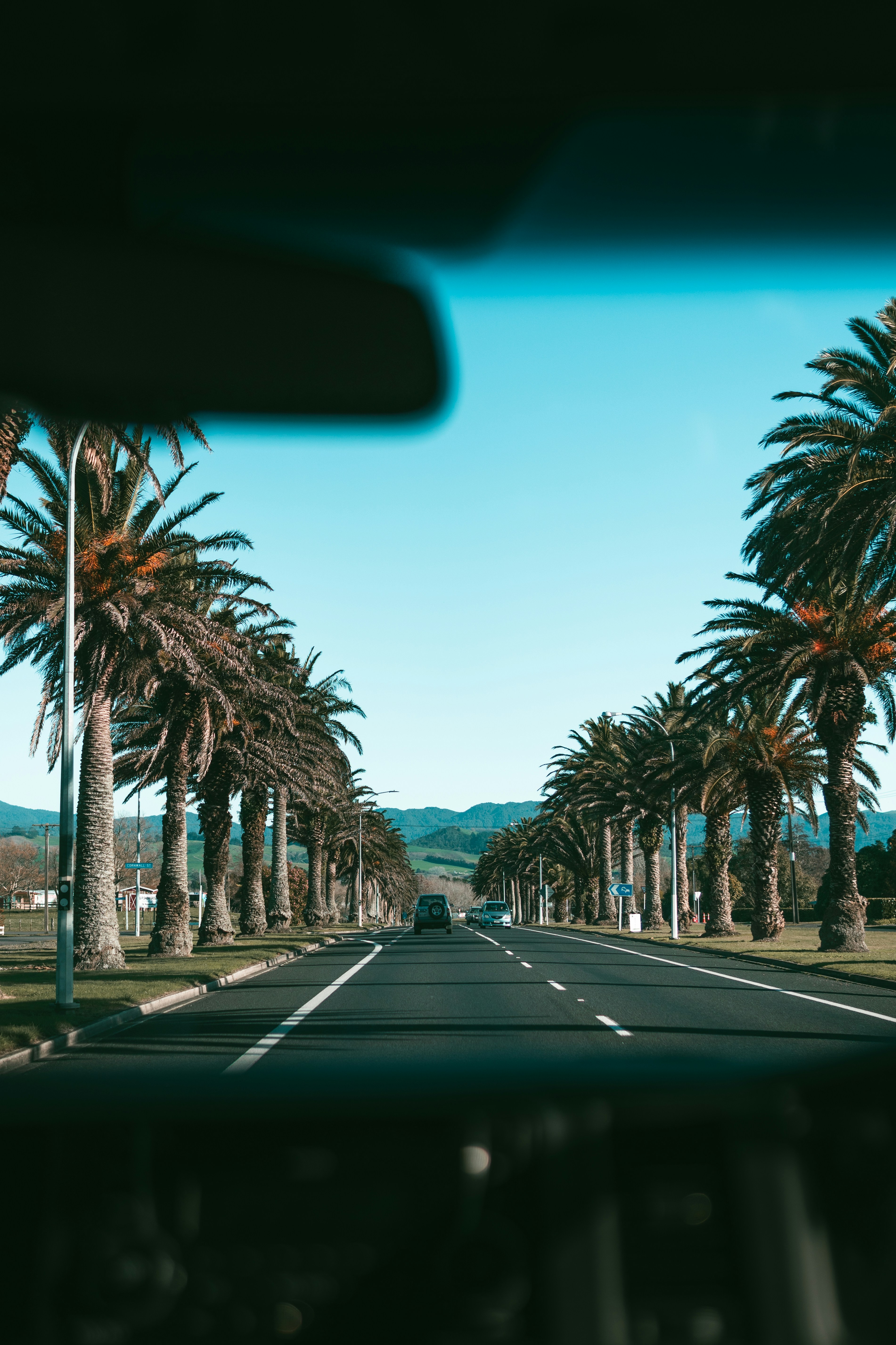 Palm-Lined Promenade: A Car's View Toward a Distant Horizon