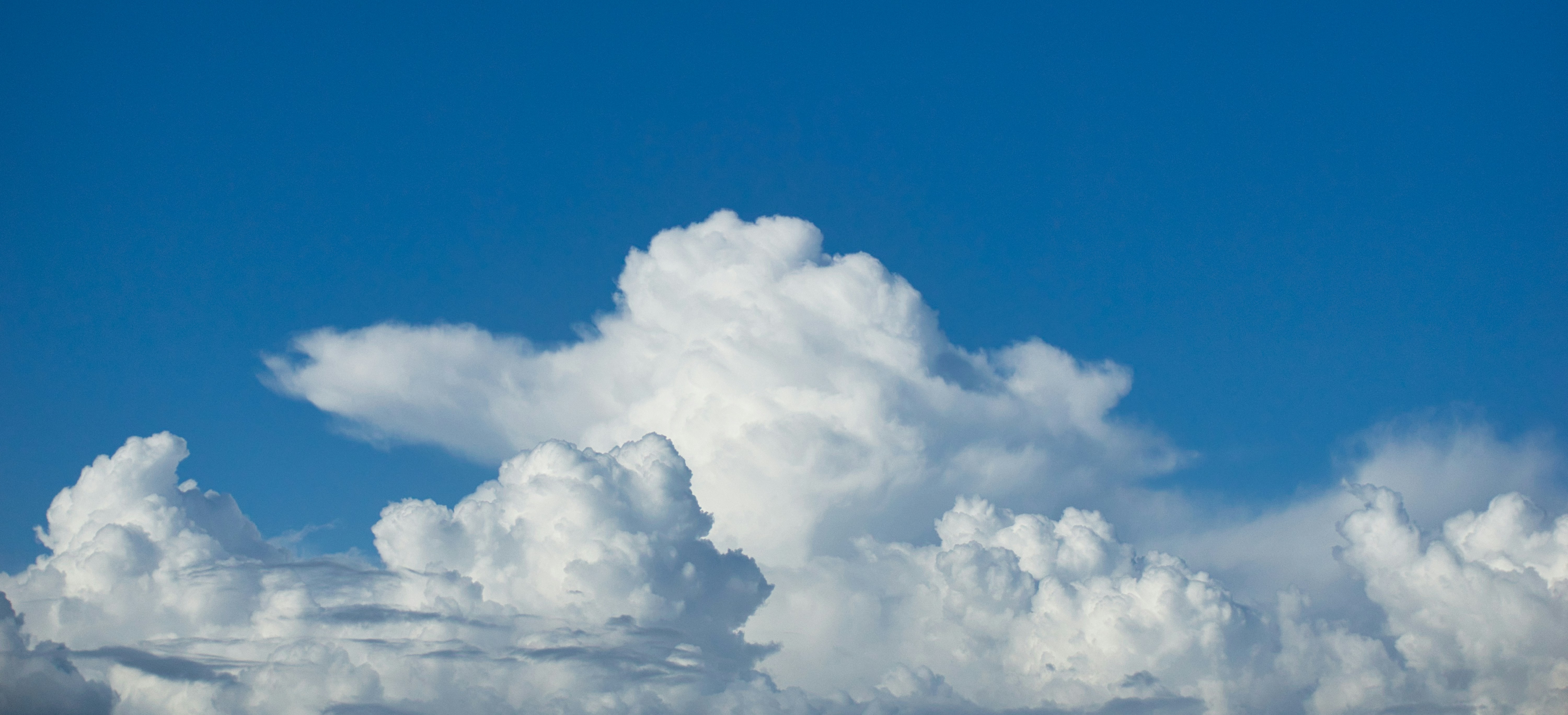 Billowing Towers in a Clear Sky