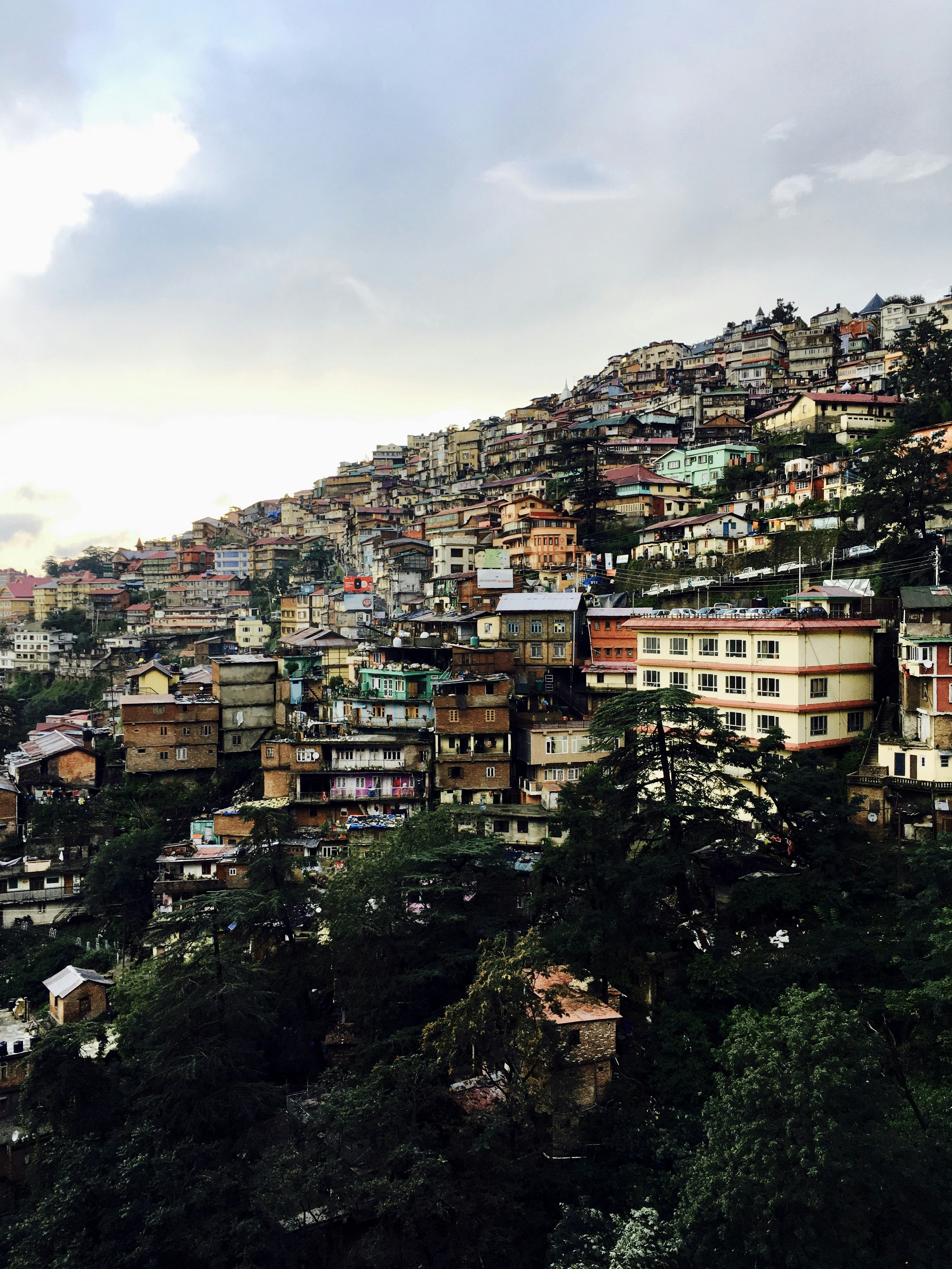 500+ Shimla India Pictures [Scenic Travel Photos] | Download Free ...