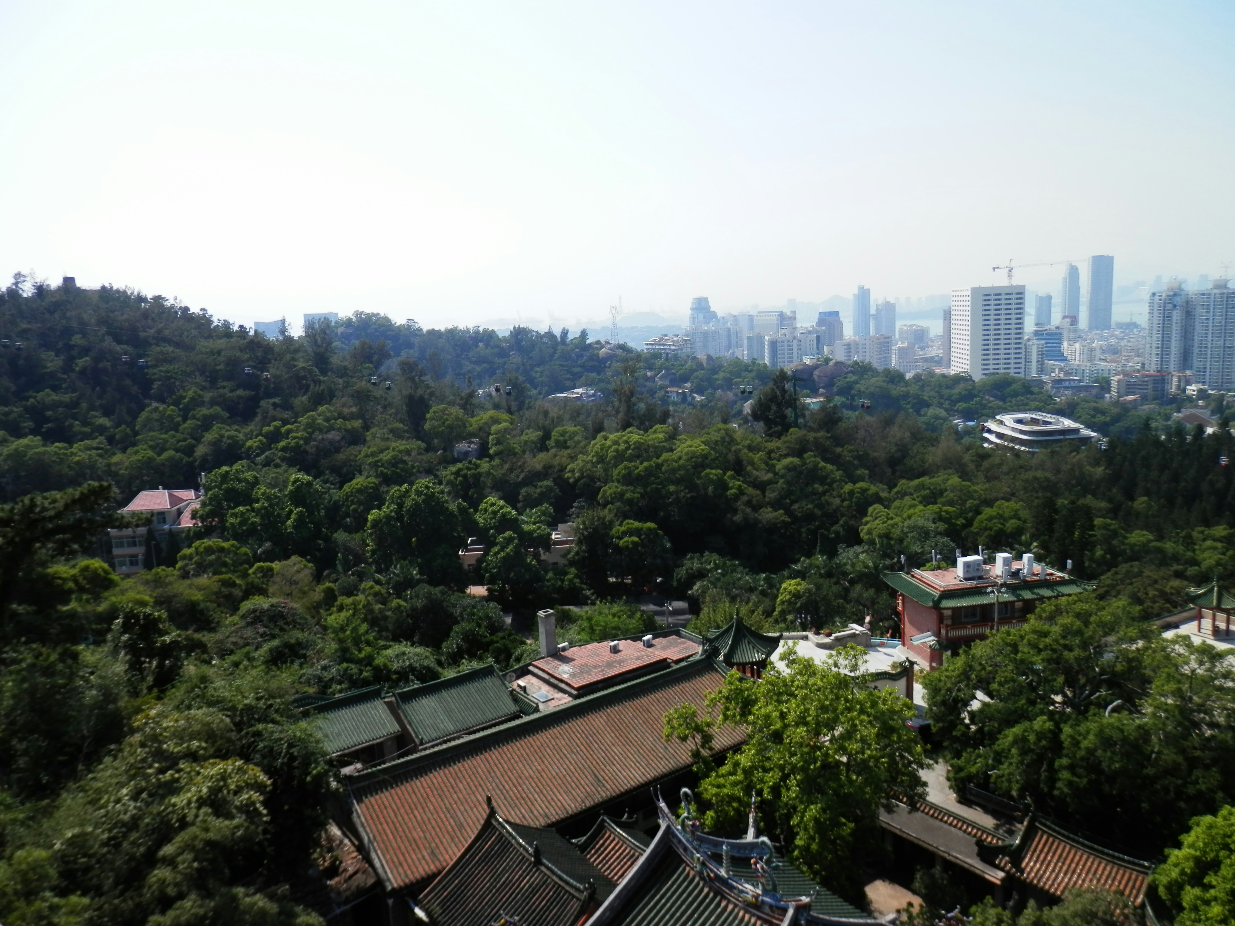 Panoramic view of a lush green park with city skyscrapers in the background under a clear sky.