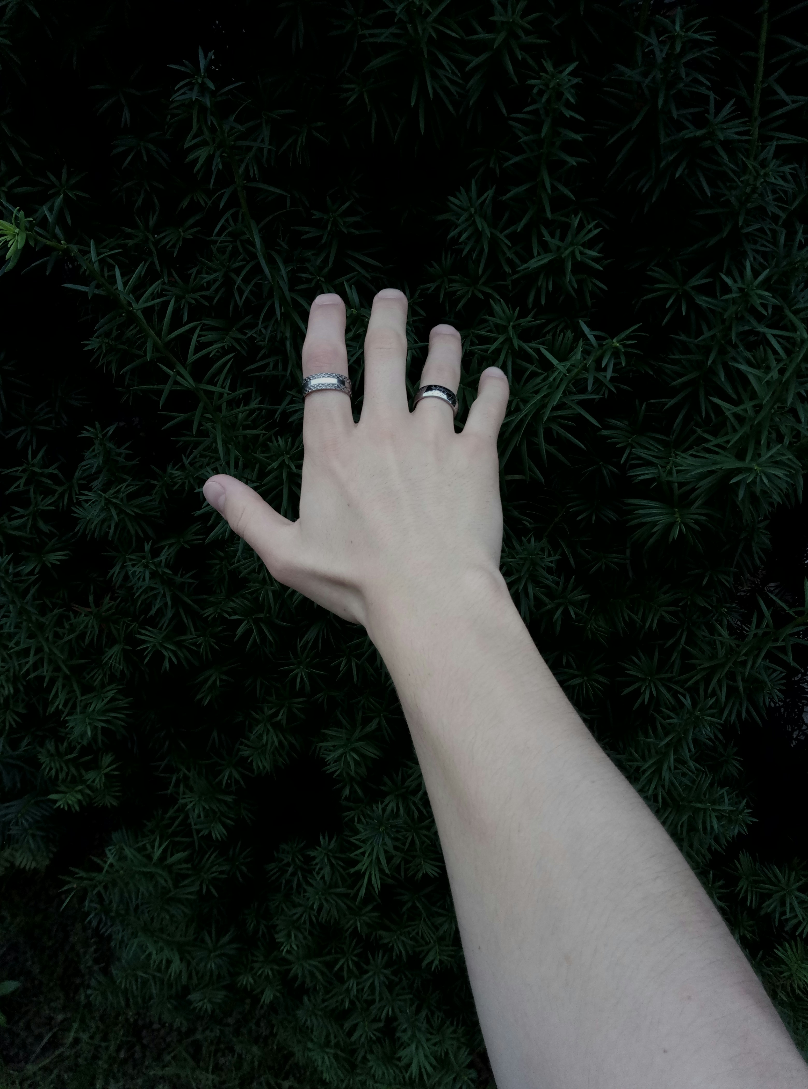 WildChild